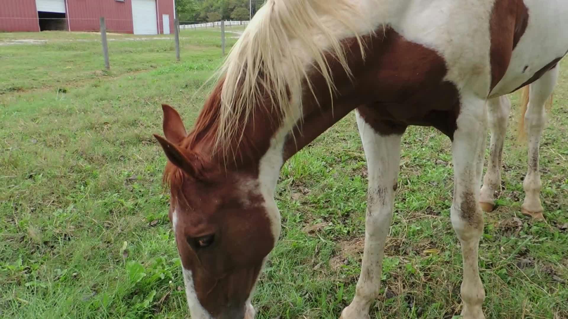 Models.Nn+Links+ Videos, Download The BEST Free 4k Stock Video Footage ...