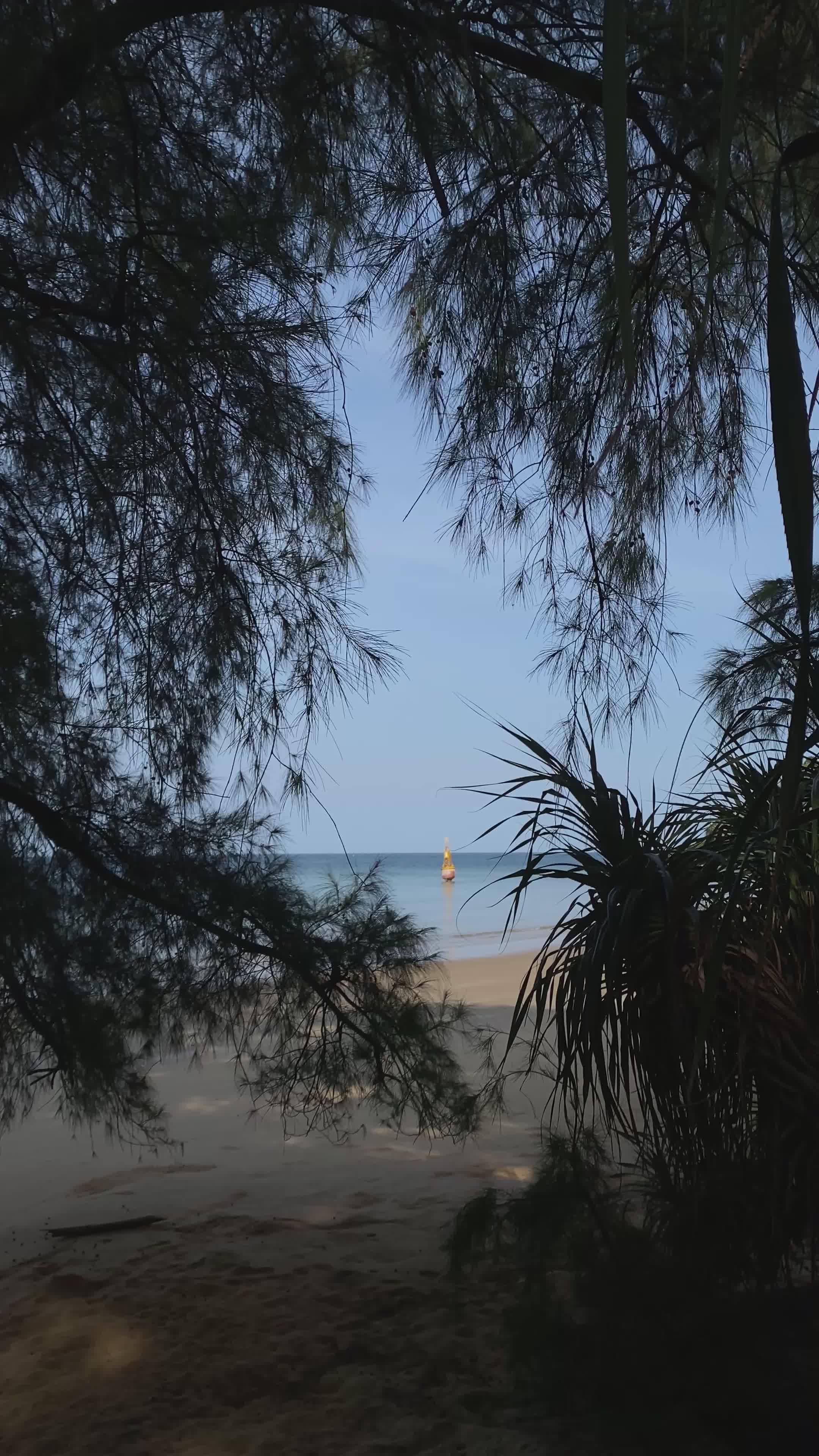 Calm Beach View Through Trees Free Stock Video Footage, Royalty-Free 4K ...