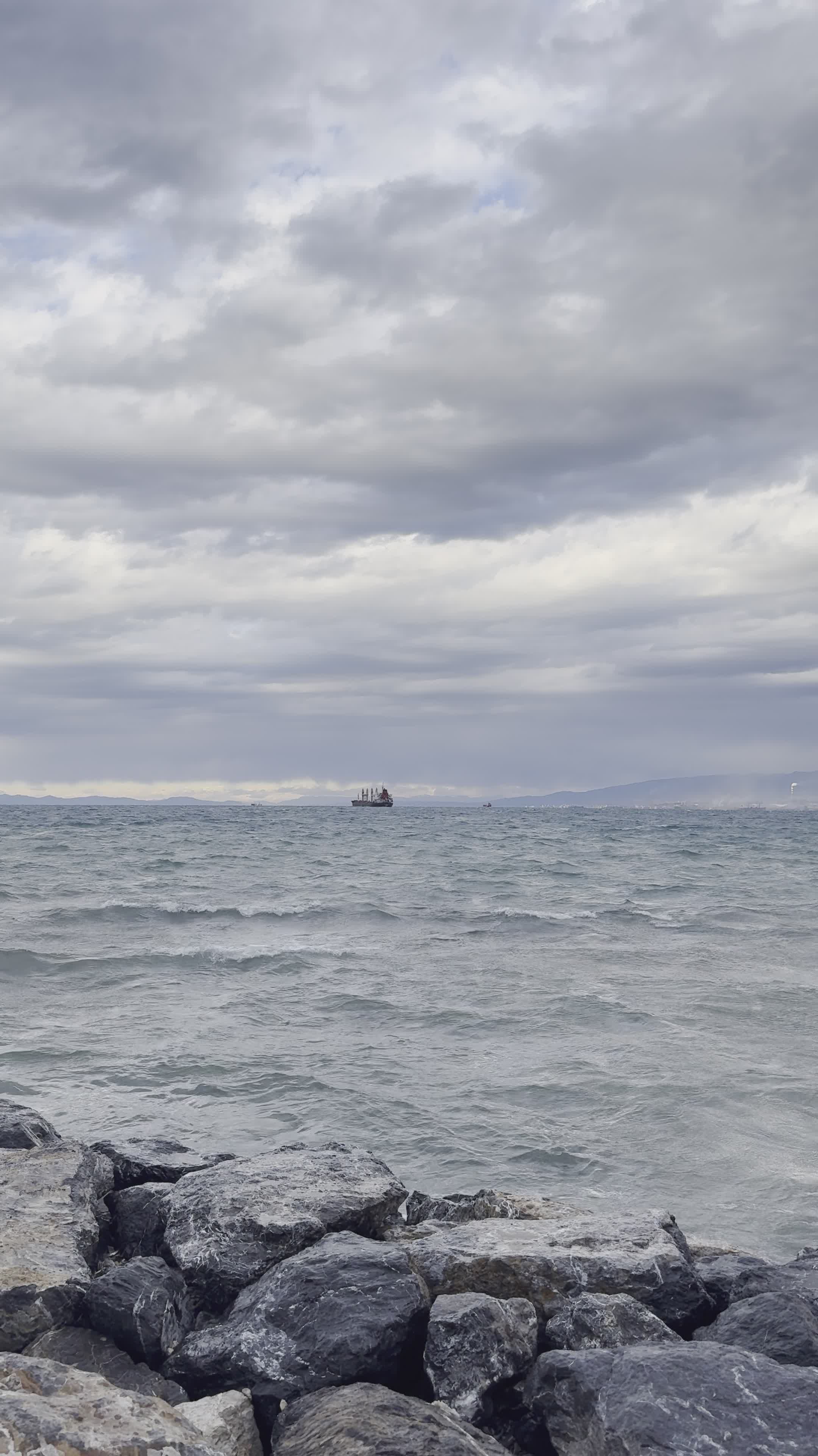 Calm Coastal Scene with Seagulls and Rocks Free Stock Video Footage ...