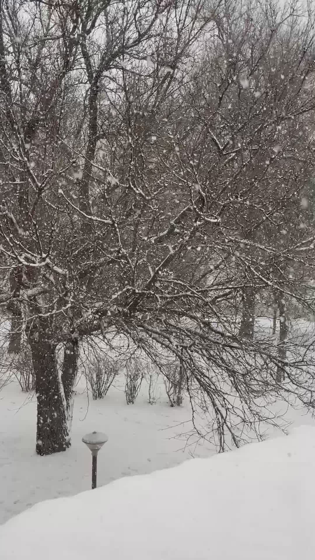 Snow Videos, Download The BEST Free 4k Stock Video Footage & Snow HD ...