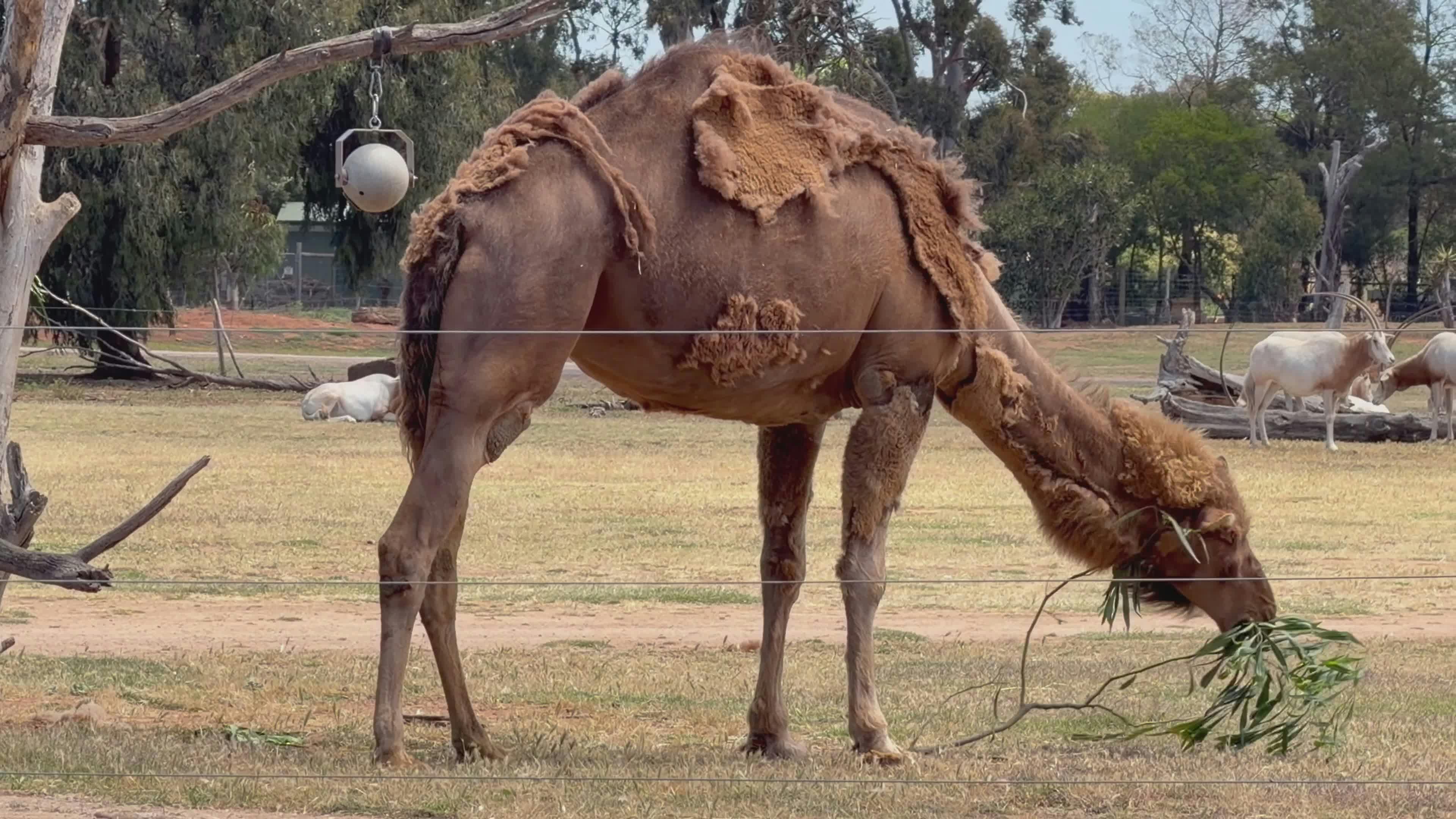 Gettys+One Videos, Download The BEST Free 4k Stock Video Footage ...