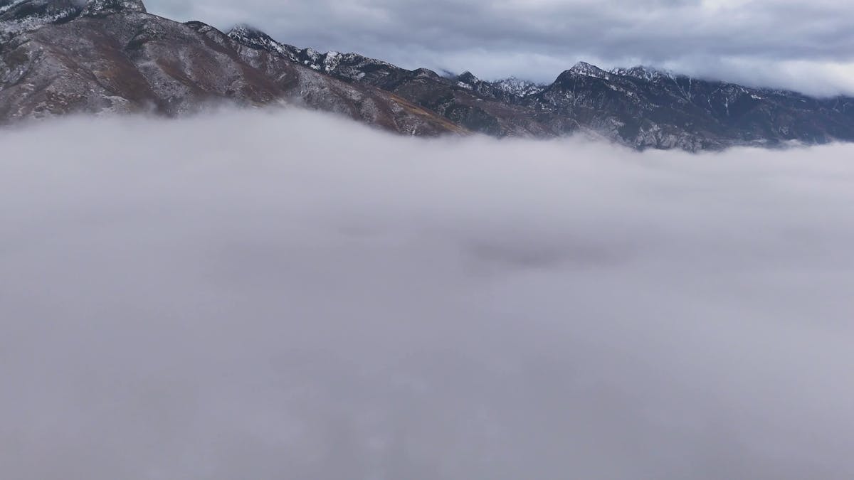 Standing+Doggy+Front+View Videos, Download The BEST Free 4k Stock Video ...