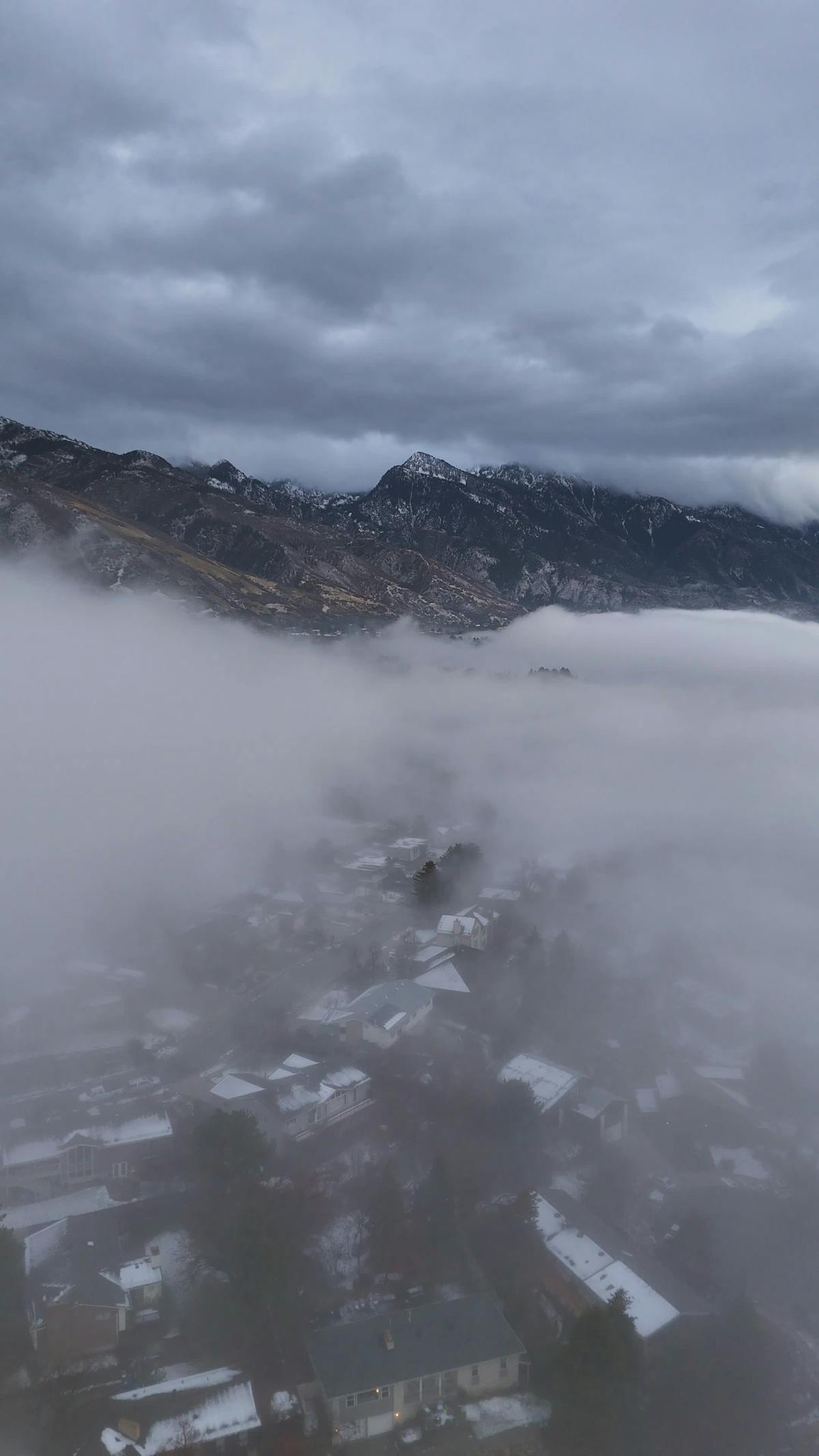 Standing+Doggy+Front+View Videos, Download The BEST Free 4k Stock Video ...