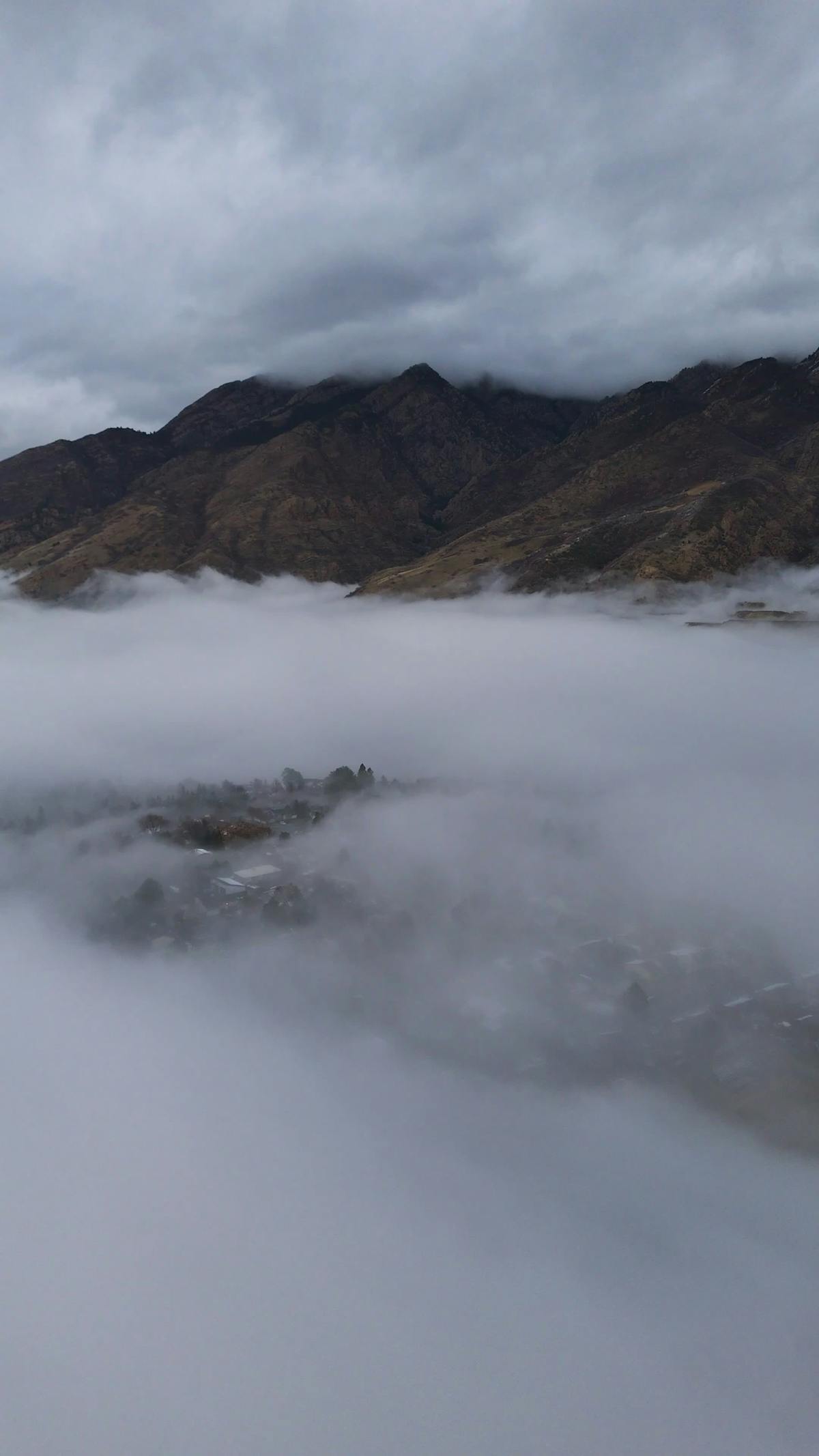 Standing+Doggy+Front+View Videos, Download The BEST Free 4k Stock Video ...