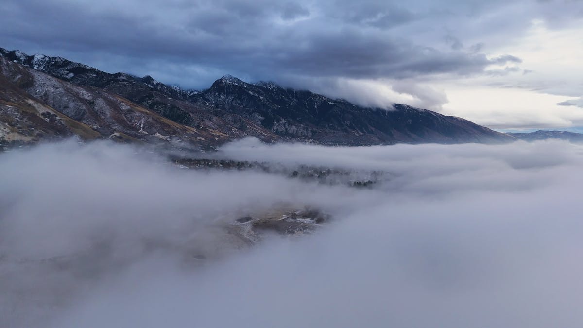 Standing+Doggy+Front+View Videos, Download The BEST Free 4k Stock Video ...