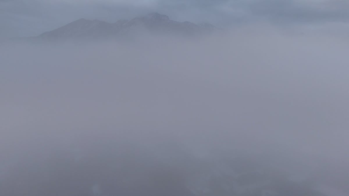 Standing+Doggy+Front+View Videos, Download The BEST Free 4k Stock Video ...