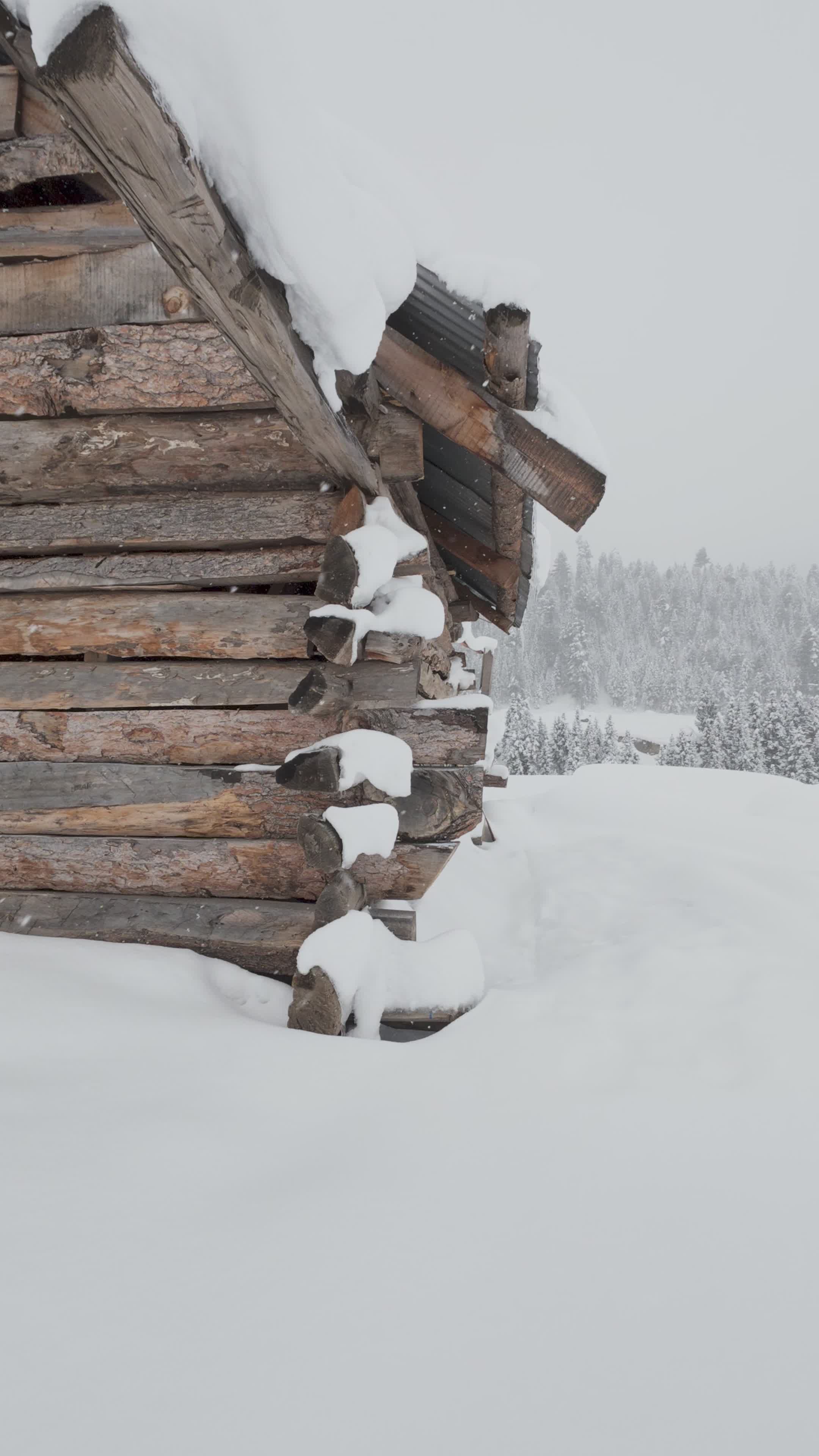 Raw Log Footage For Clour Grading Videos, Download The BEST Free 4k ...