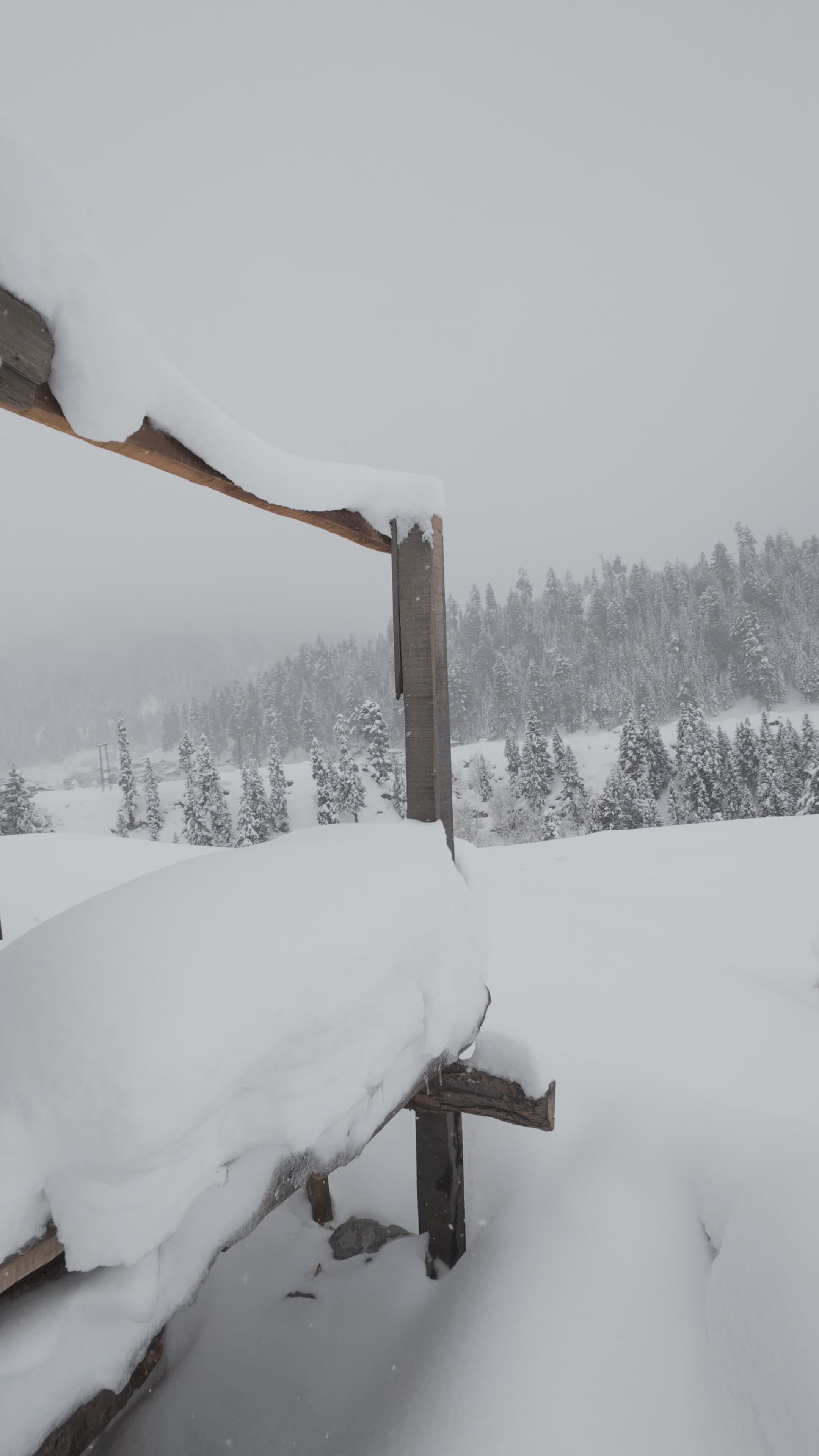 Lonely Snowy Landscape in Harsh Winter Free Stock Video Footage ...
