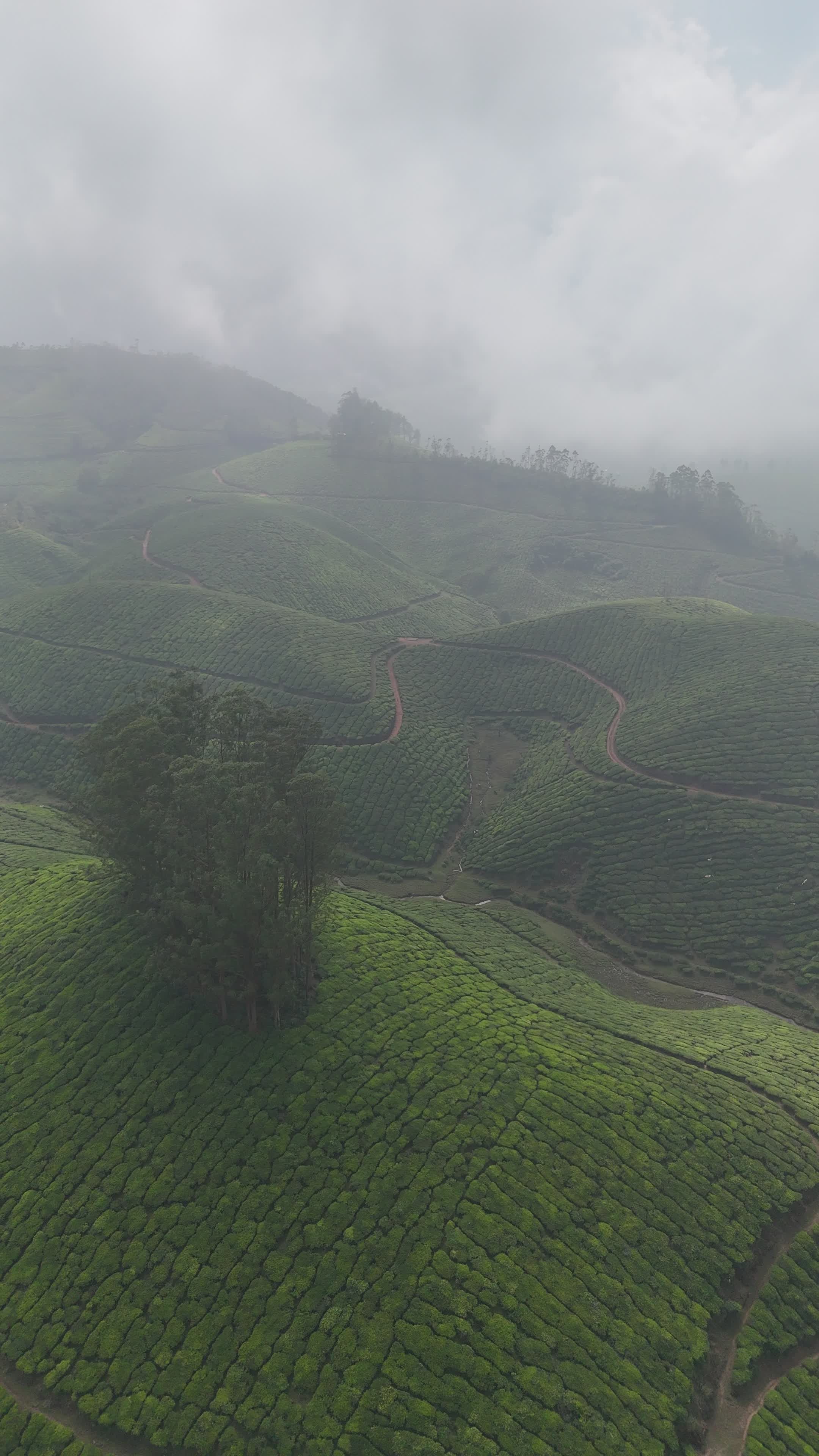 Sri Laka Videos, Download The BEST Free 4k Stock Video Footage & Sri ...