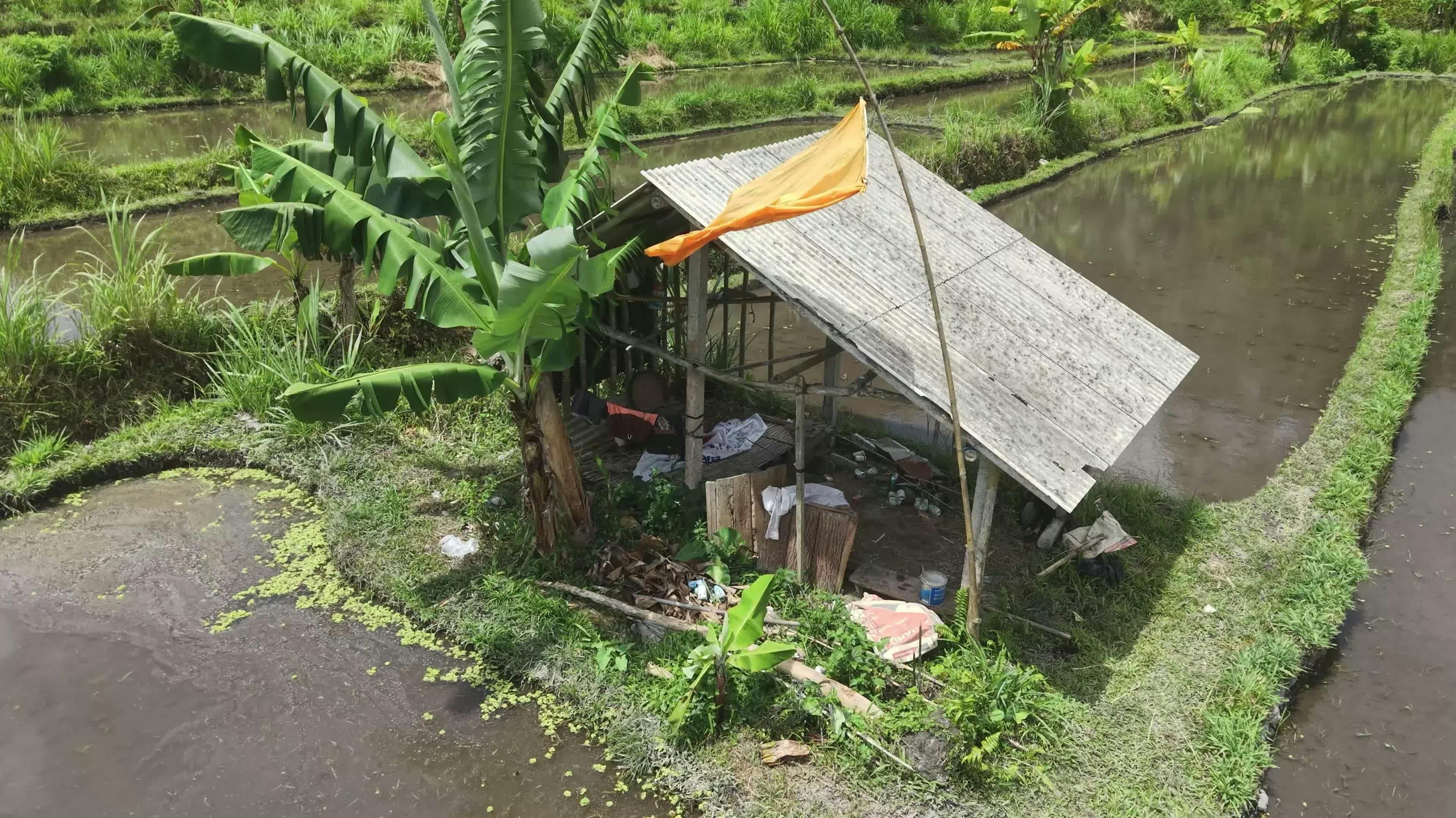 Land+Recor Videos, Download The BEST Free 4k Stock Video Footage & Land ...