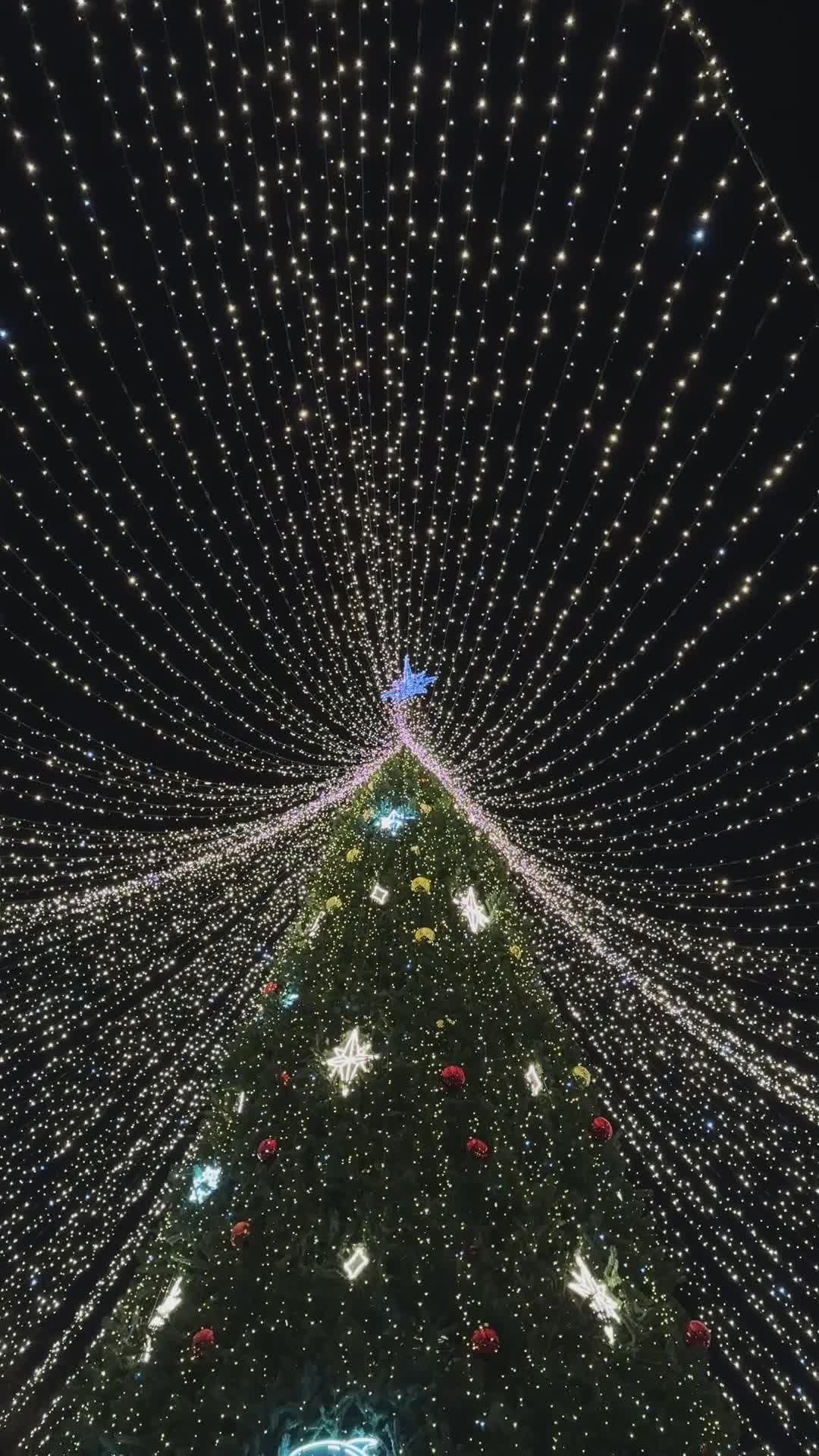 Glowing Christmas Tree with Twinkling Lights Free Stock Video Footage ...