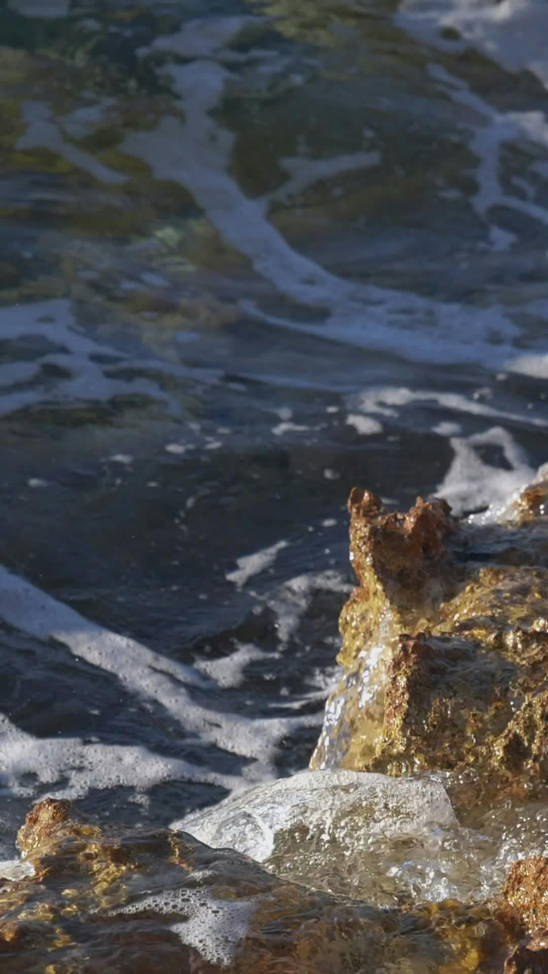 Werken Big Blijdo Videos, Download The BEST Free 4k Stock Video Footage ...