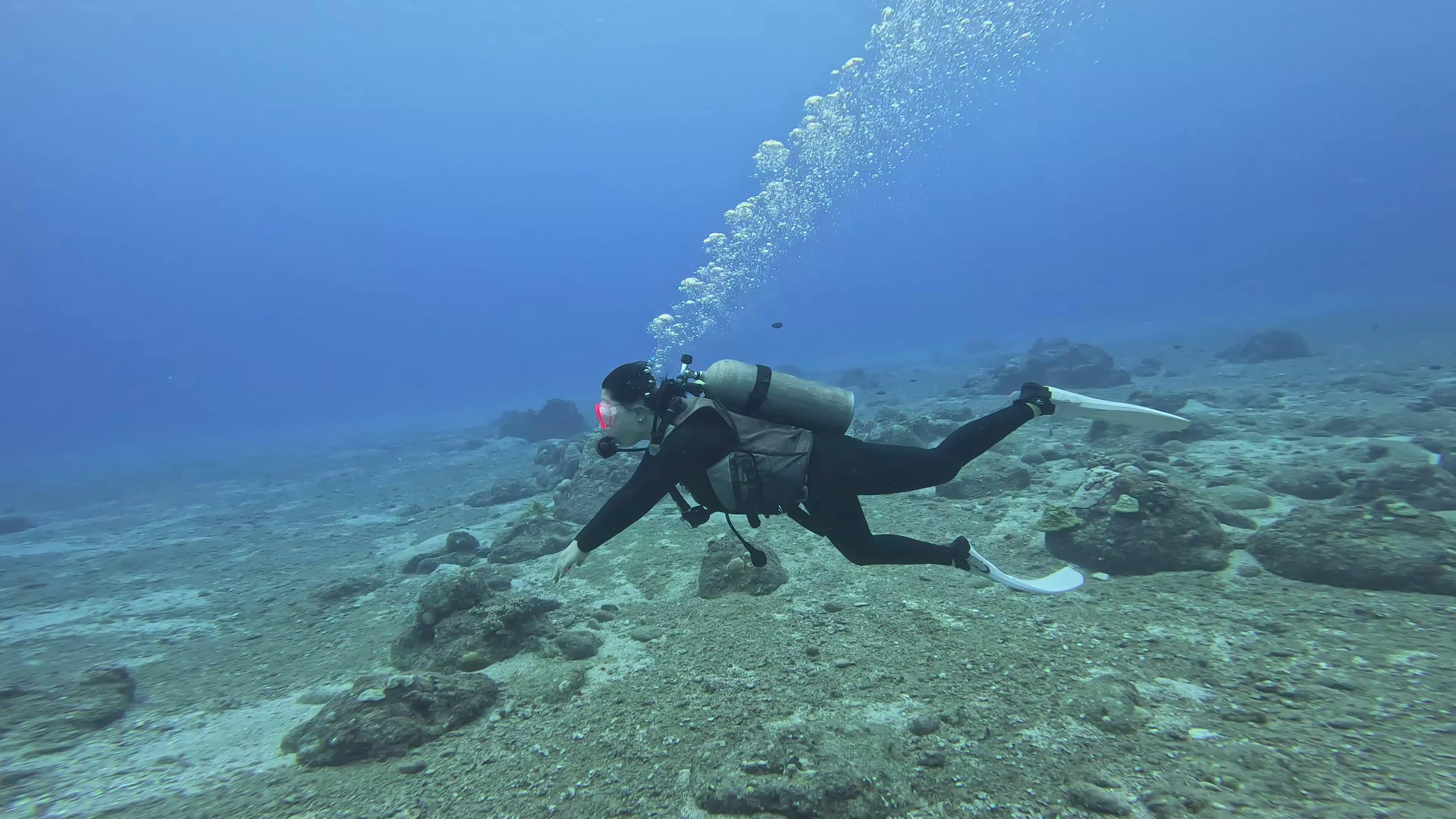 Scuba Diver Exploring Underwater Coral Reef Free Stock Video Footage ...