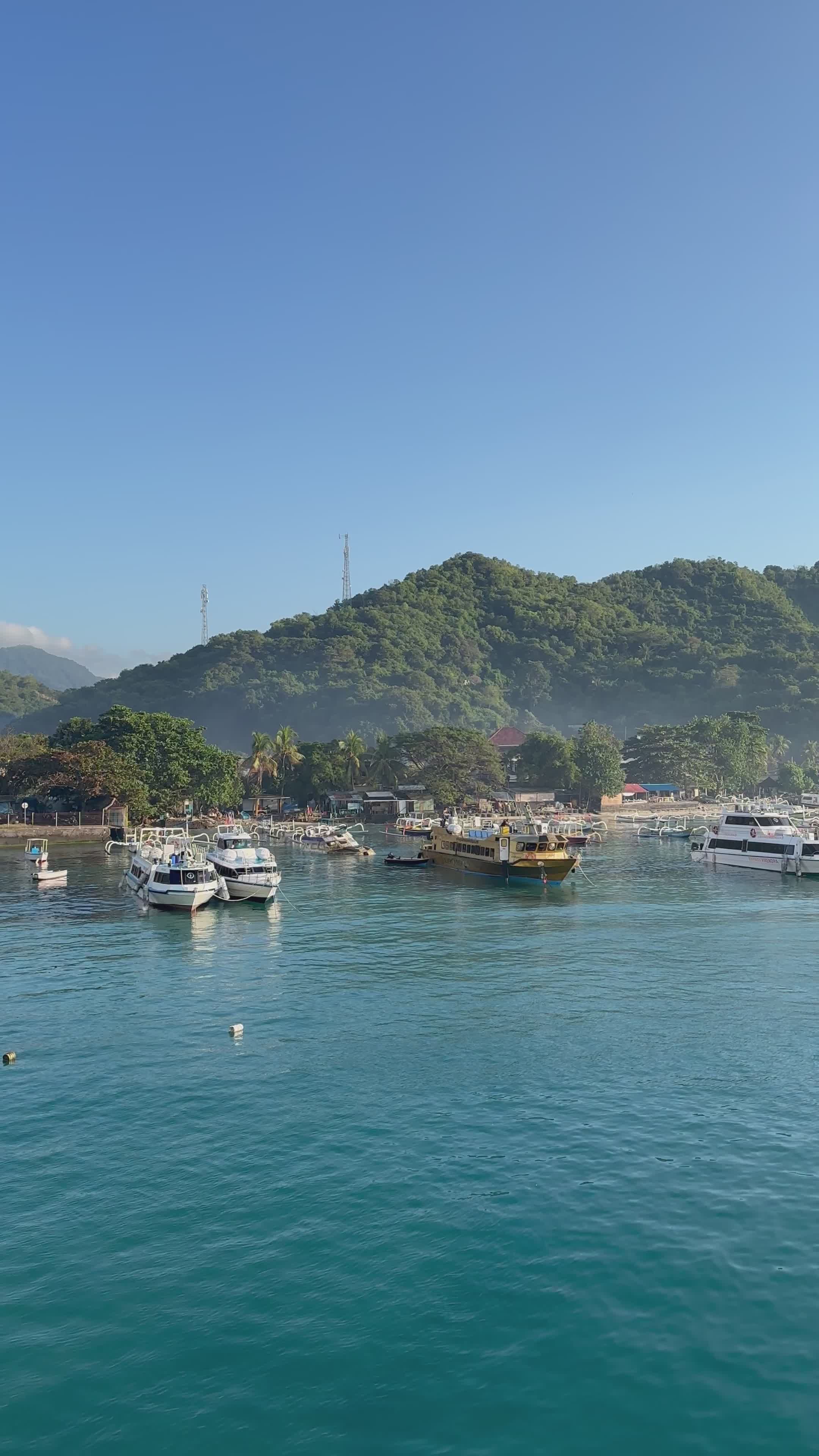 Tranquil Tropical Harbor with Boats at Sunrise Free Stock Video Footage ...