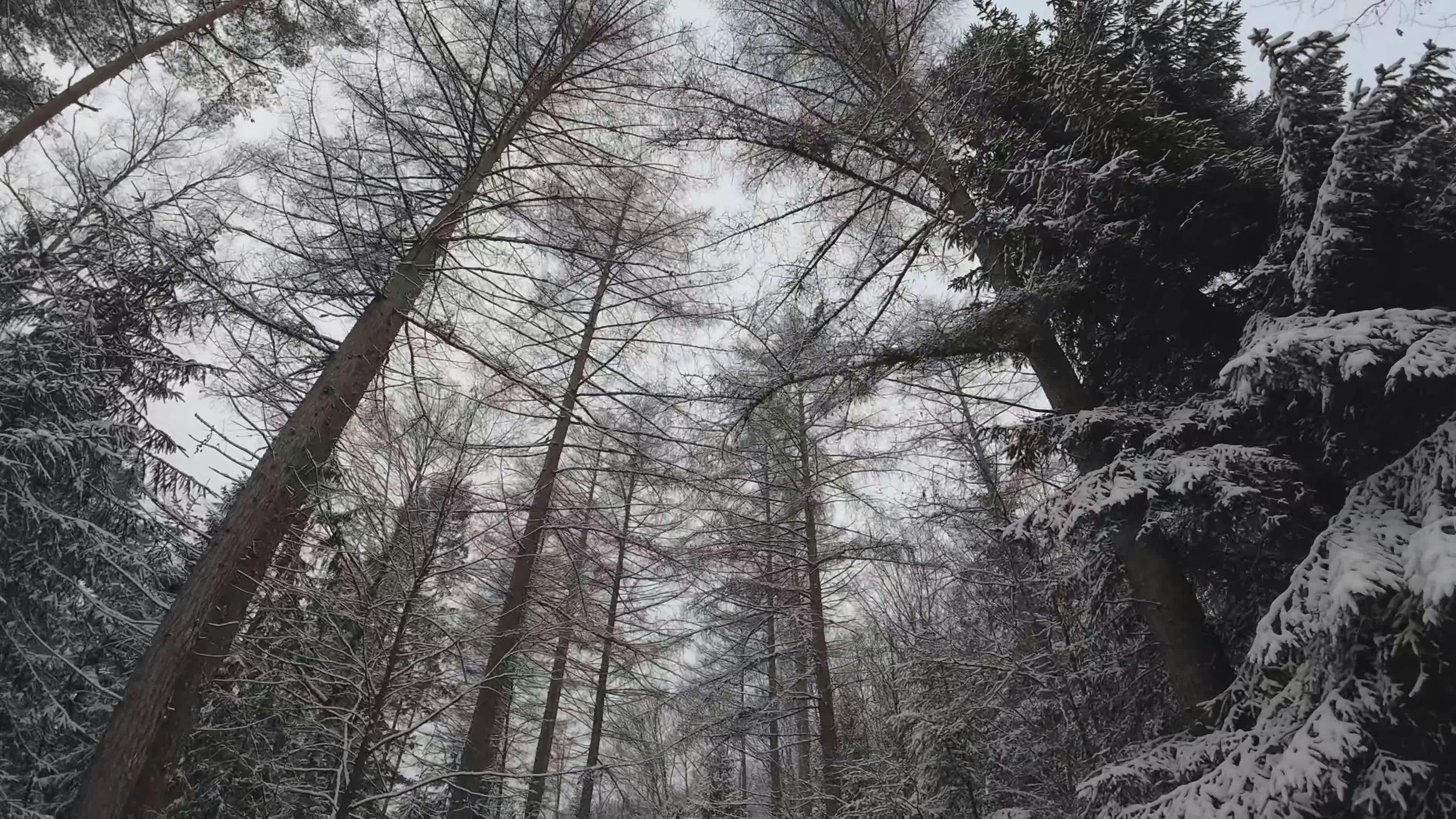 Therapeutic Back Massage Videos, Download The BEST Free 4k Stock Video ...