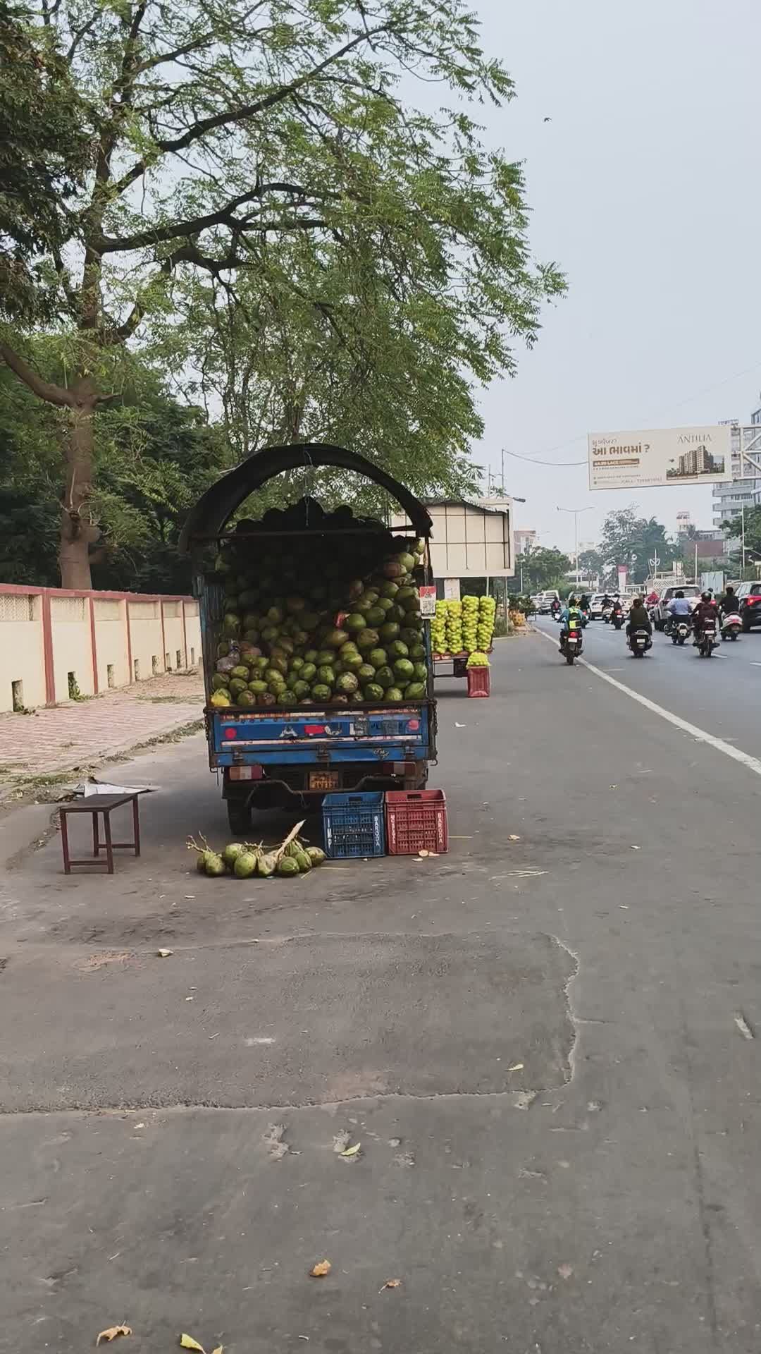 Coconut Truck Selling Fresh Produce in Vadodara Free Stock Video ...