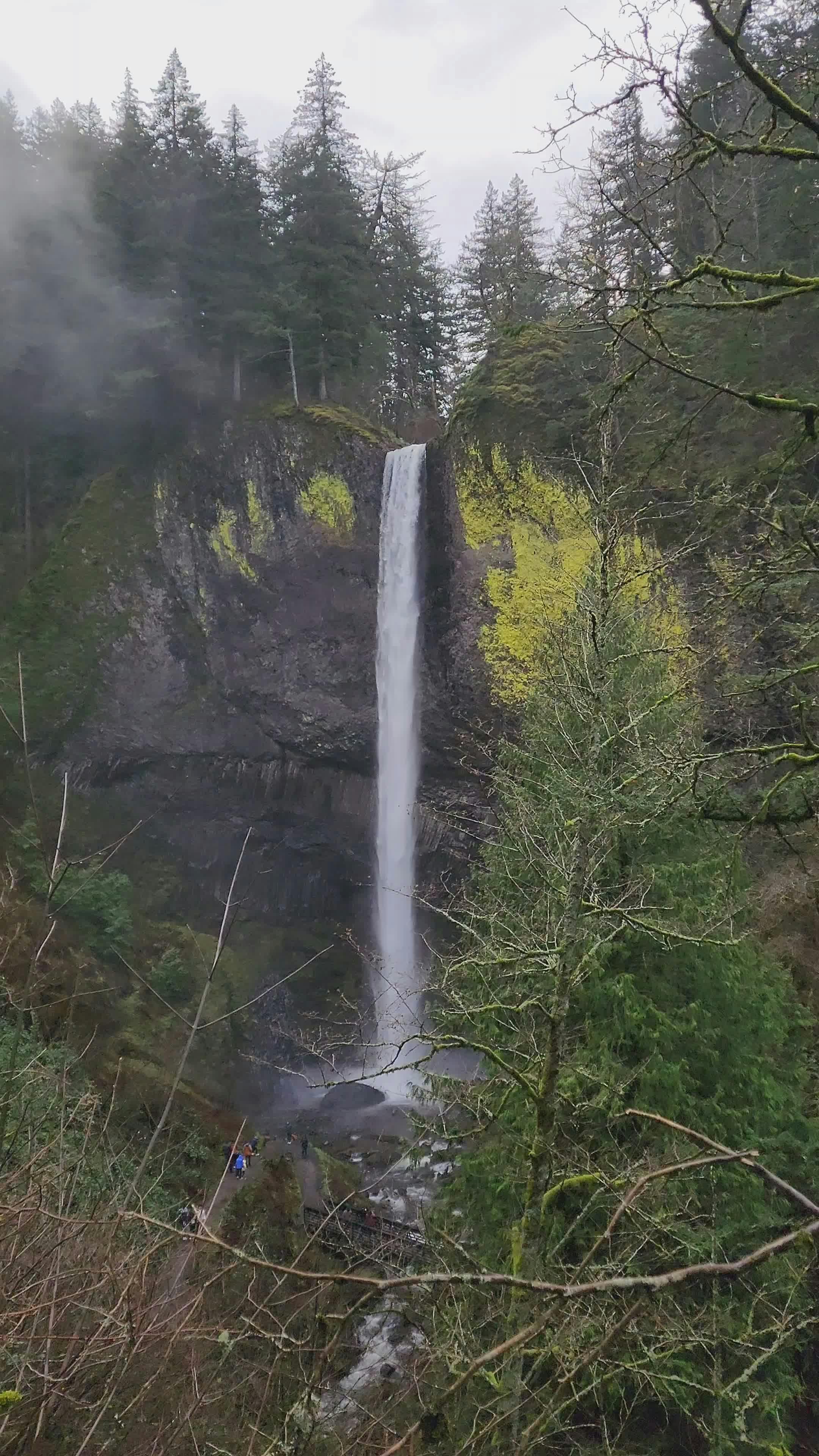 Stunning Waterfall in Forest Landscape Free Stock Video Footage, Royalty-Free 4K & HD Video Clip