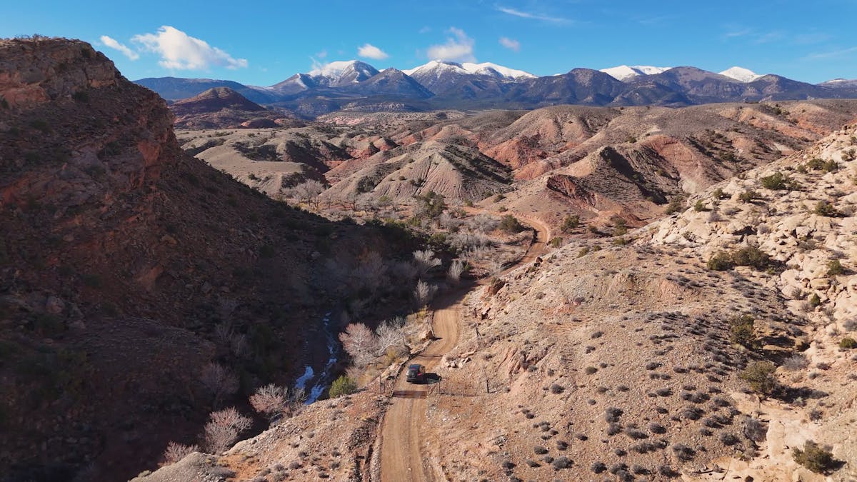 Thick+Light+Skin+Back+Shots Videos, Download The BEST Free 4k Stock ...