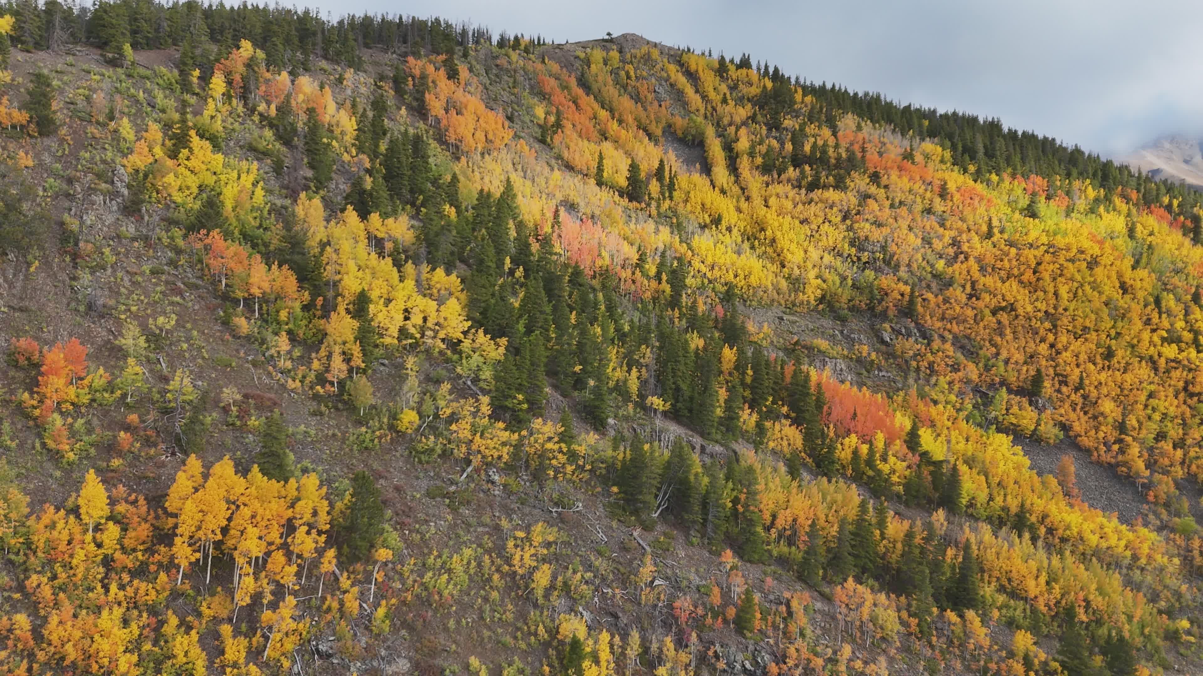 Vibrant Fall Foliage in Alpine Mountain Range Free Stock Video Footage ...