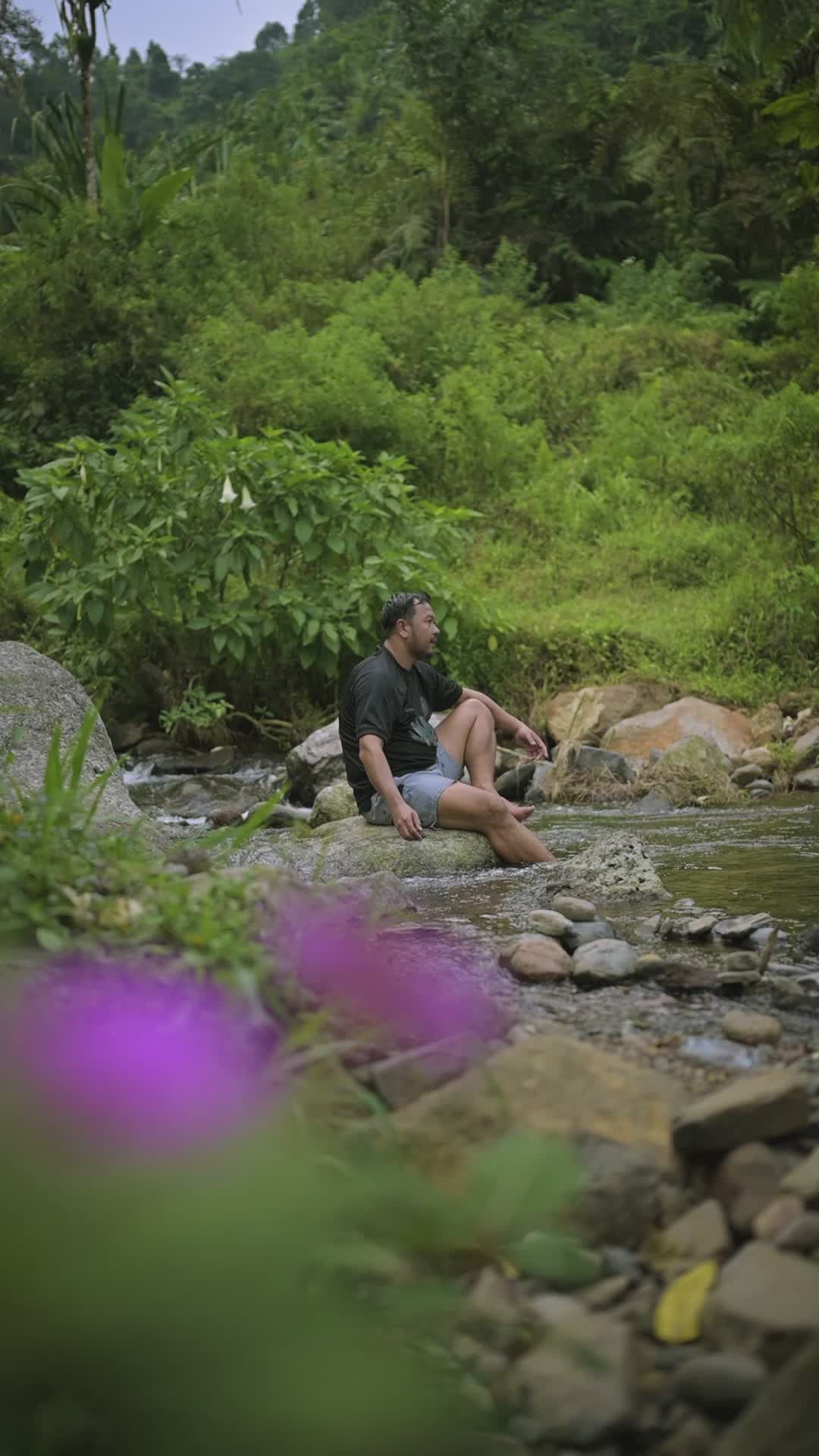 Relaxing Riverside Camping in Lush Forest Free Stock Video Footage ...