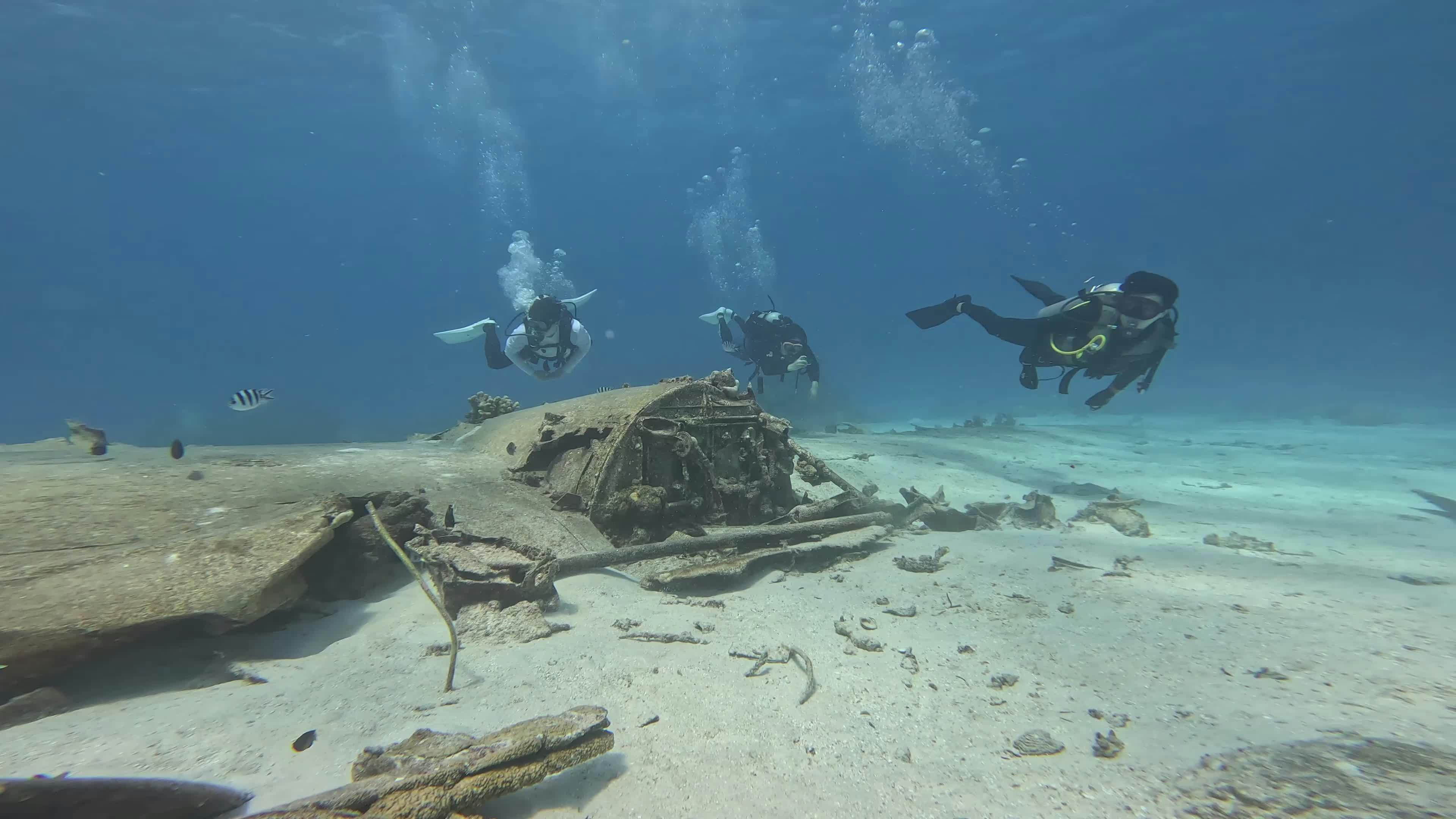 Exploring Underwater Shipwreck with Scuba Divers Free Stock Video ...