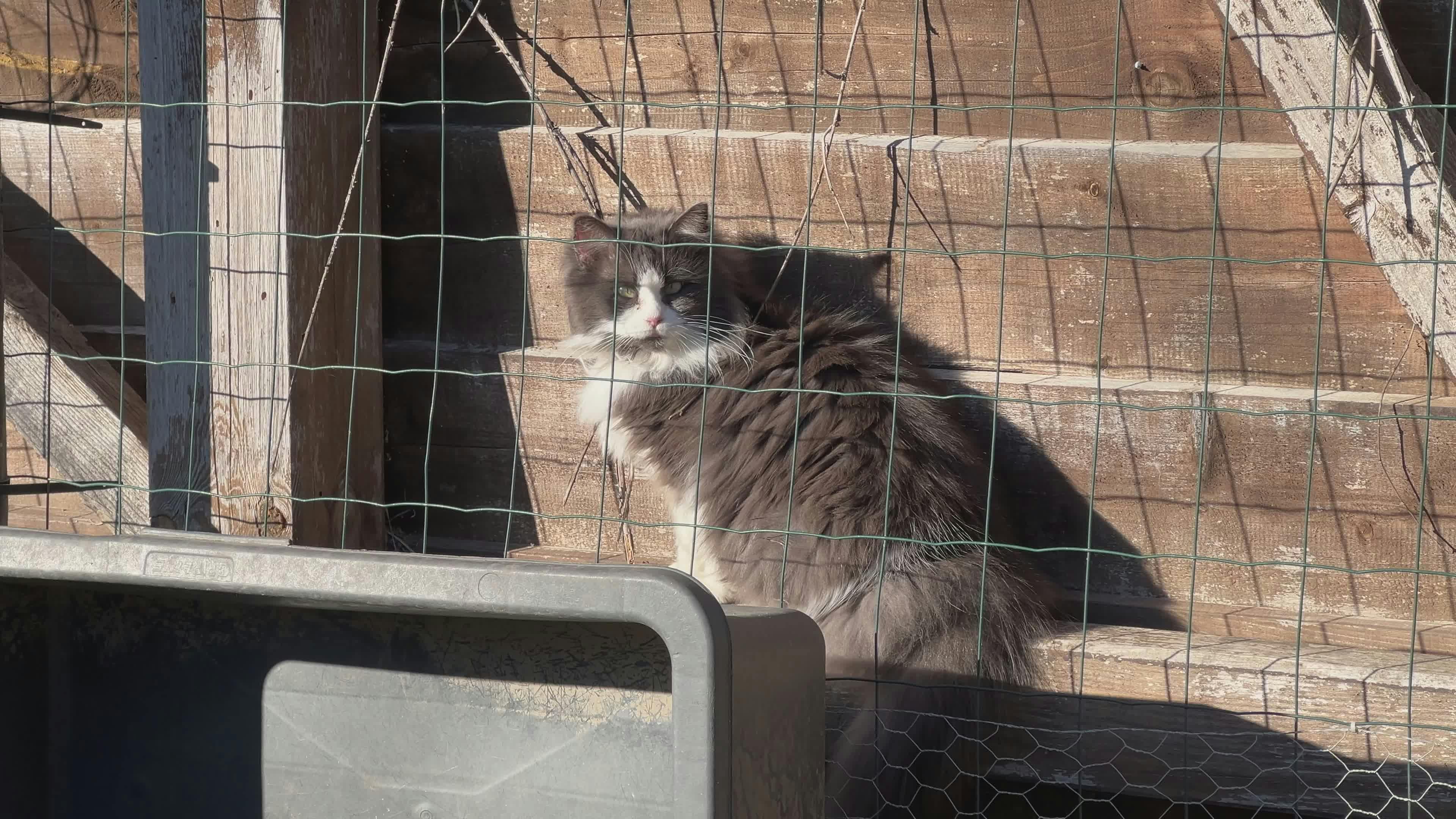 Patreon+Girl+Fart Videos, Download The BEST Free 4k Stock Video Footage ...