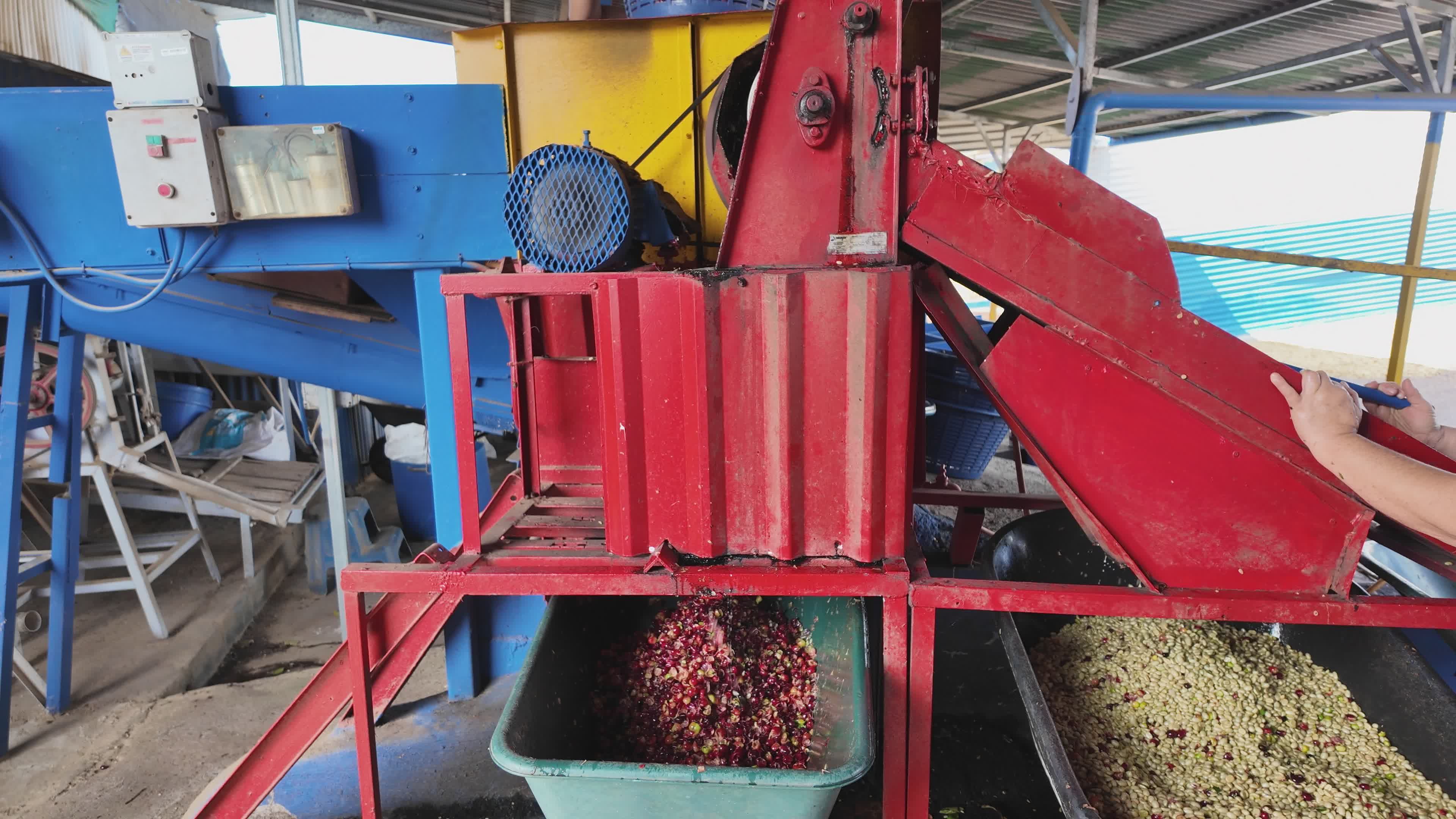 Efficient Cherry Pit Removal Process in Factory Free Stock Video ...