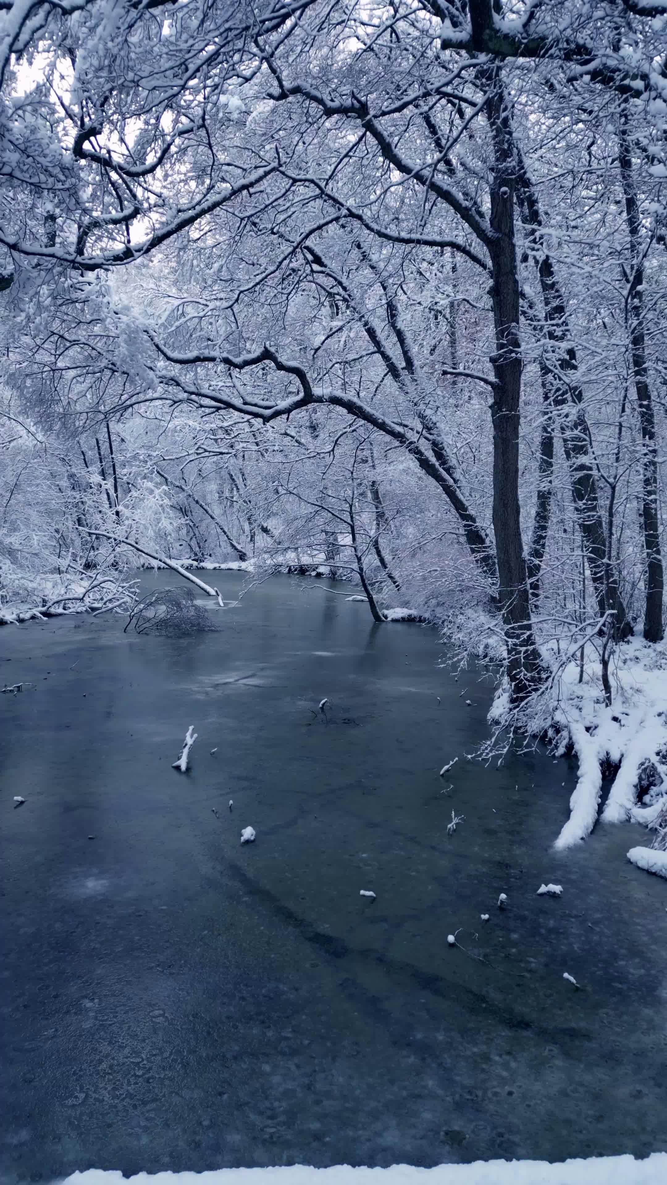 Winter Wonderland: Tranquil Snow-Covered Forest Stream Free Stock Video ...