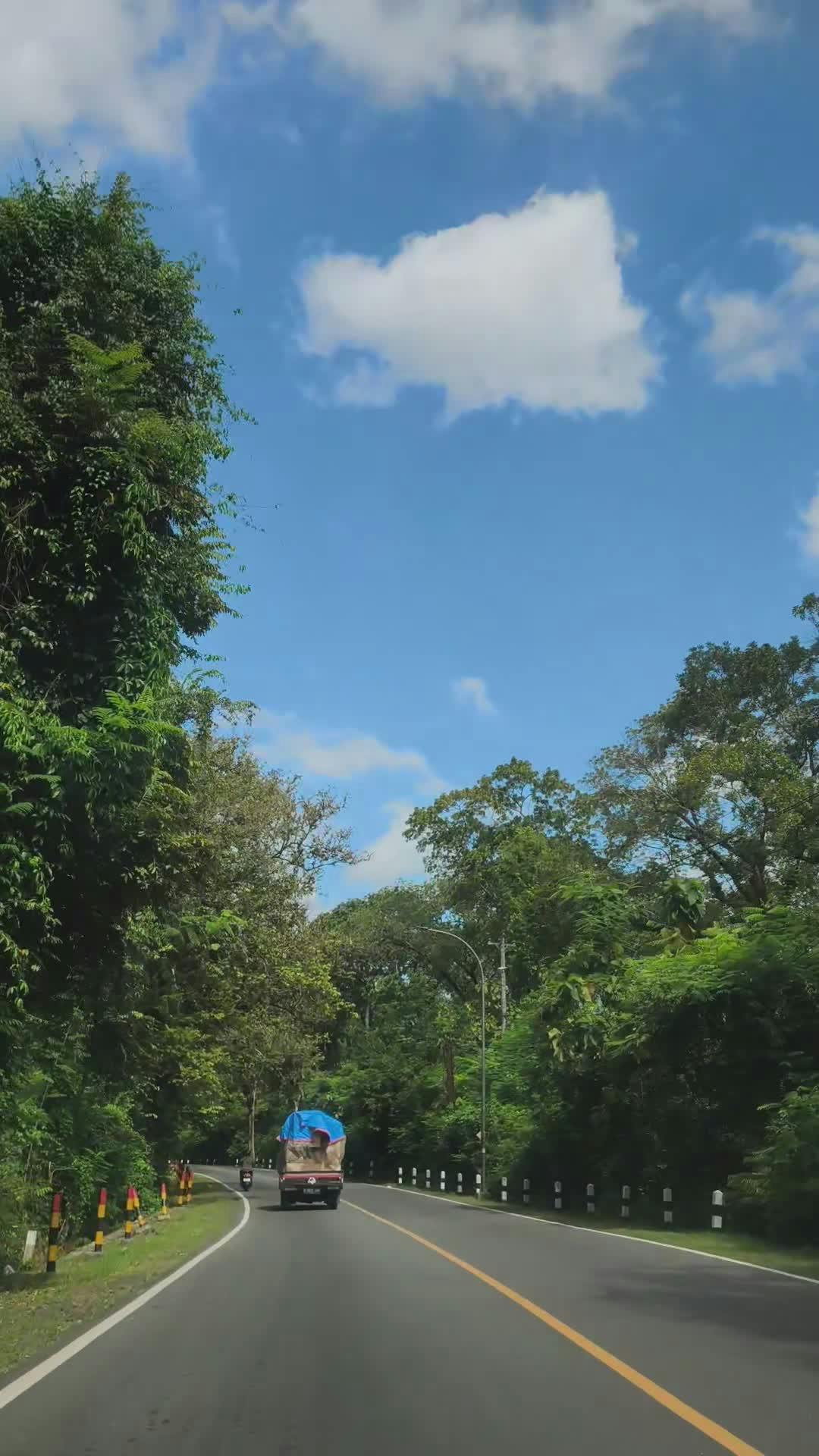 Vídeos de stock gratuitos sobre @al aire libre, amante de la naturaleza ...