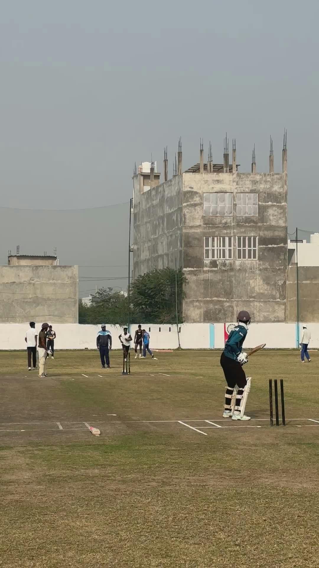 Cricket Animation Videos, Download The BEST Free 4k Stock Video Footage ...