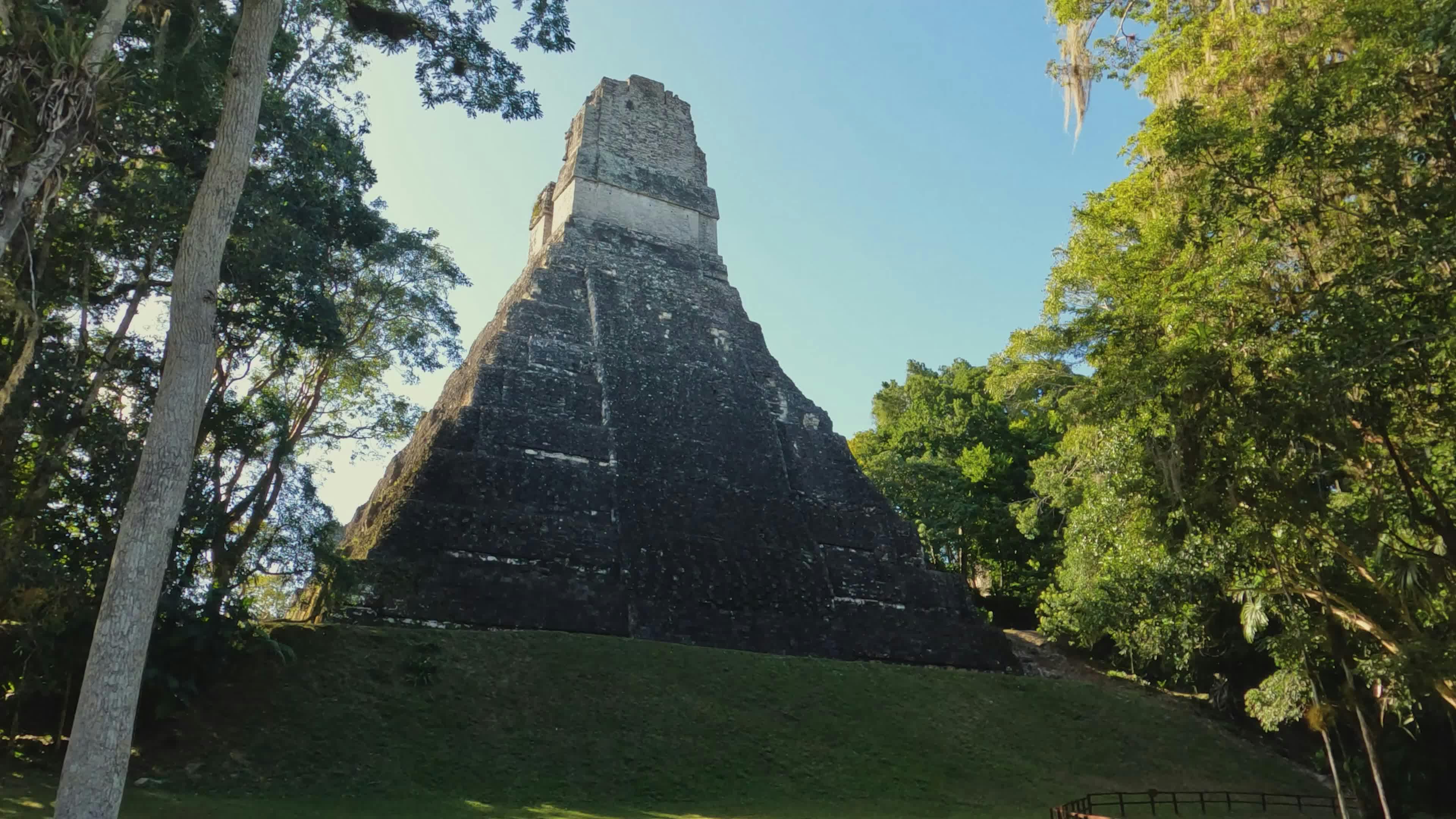 グアテマラの緑豊かなジャングルにあるティカルピラミッド · 無料の動画素材