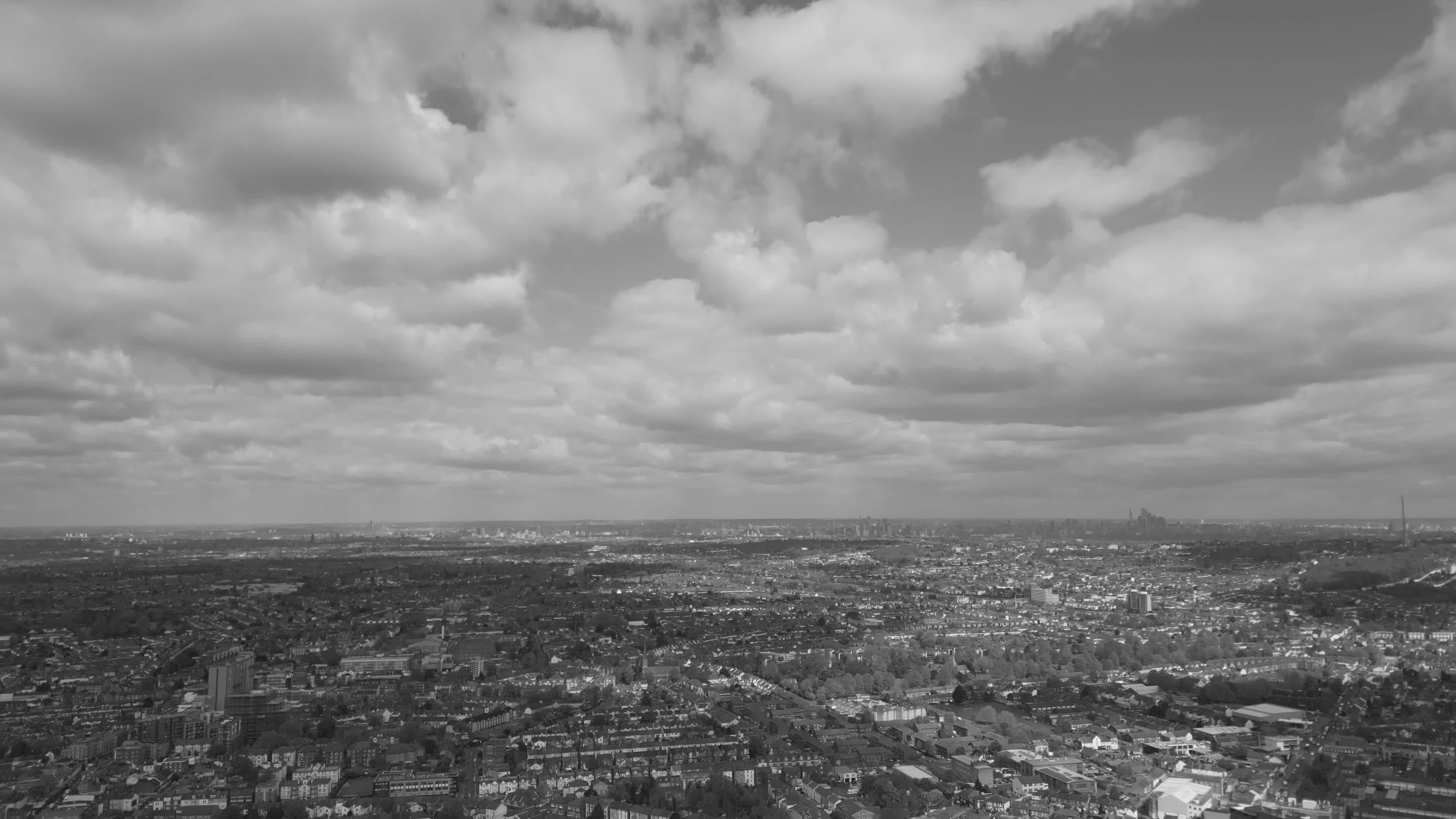 Smartdogdiet.Com+Rob+Lowed Videos, Download The BEST Free 4k Stock ...