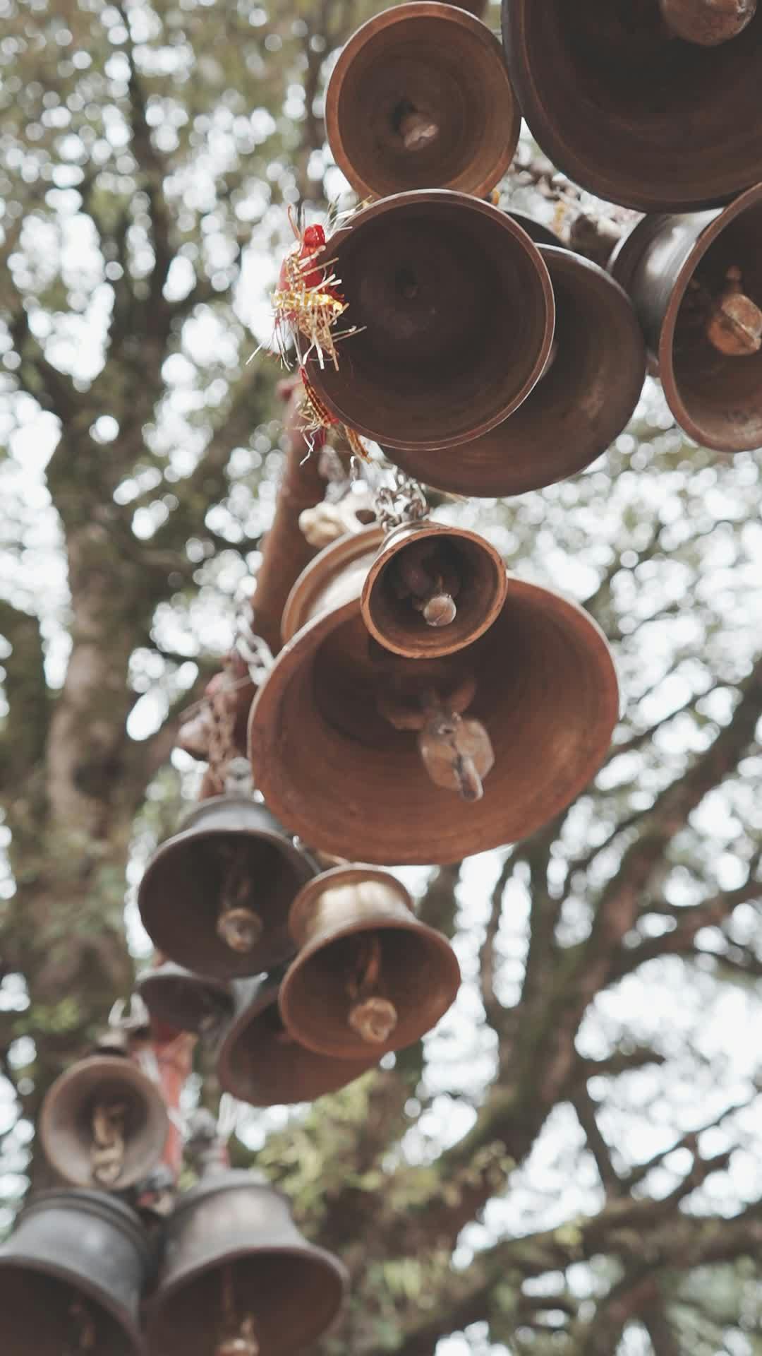 Rustic Bells Hanging in a Tranquil Forest Free Stock Video Footage ...