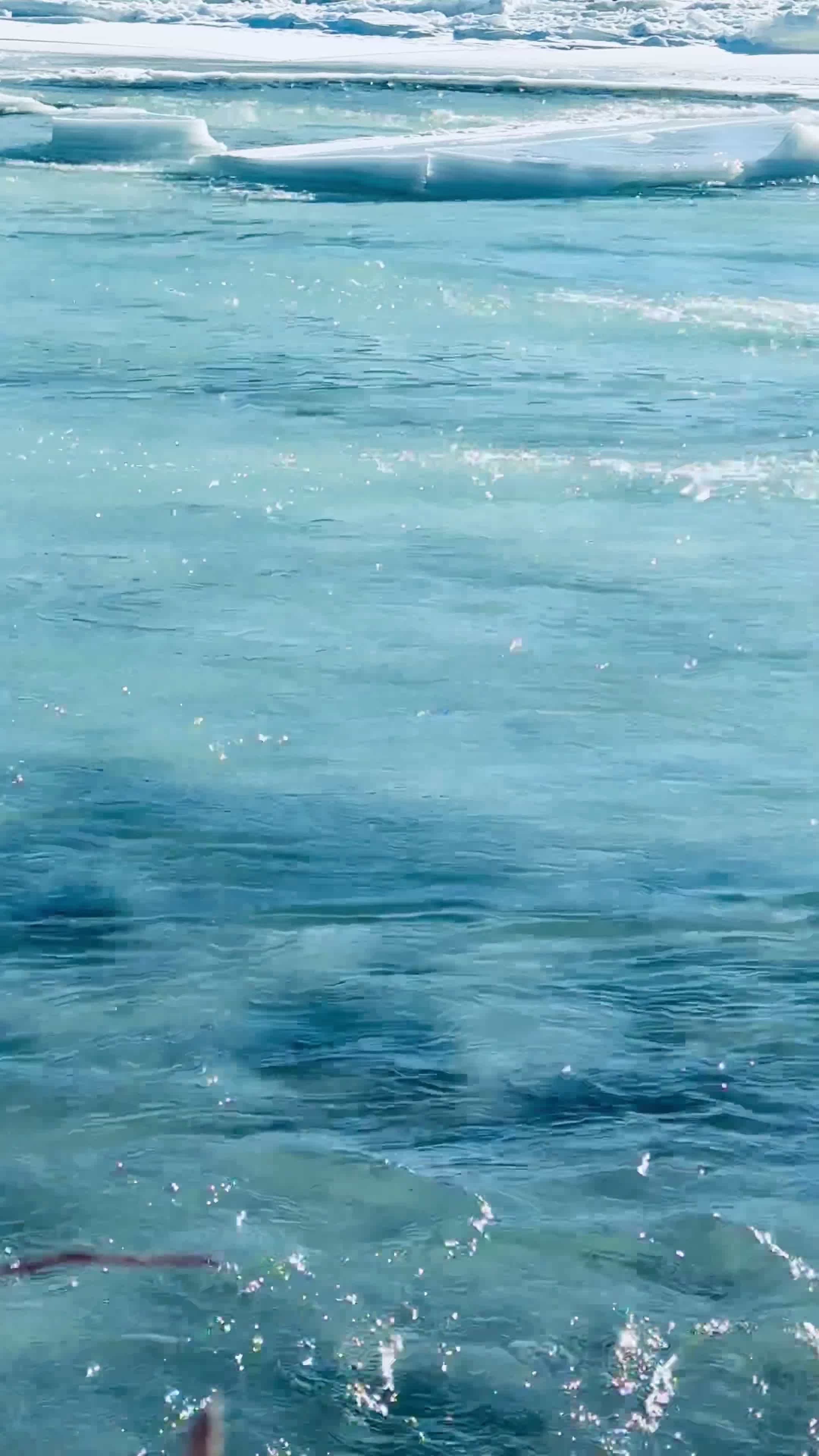 Serene Frozen Lake with Floating Ice Free Stock Video Footage, Royalty ...