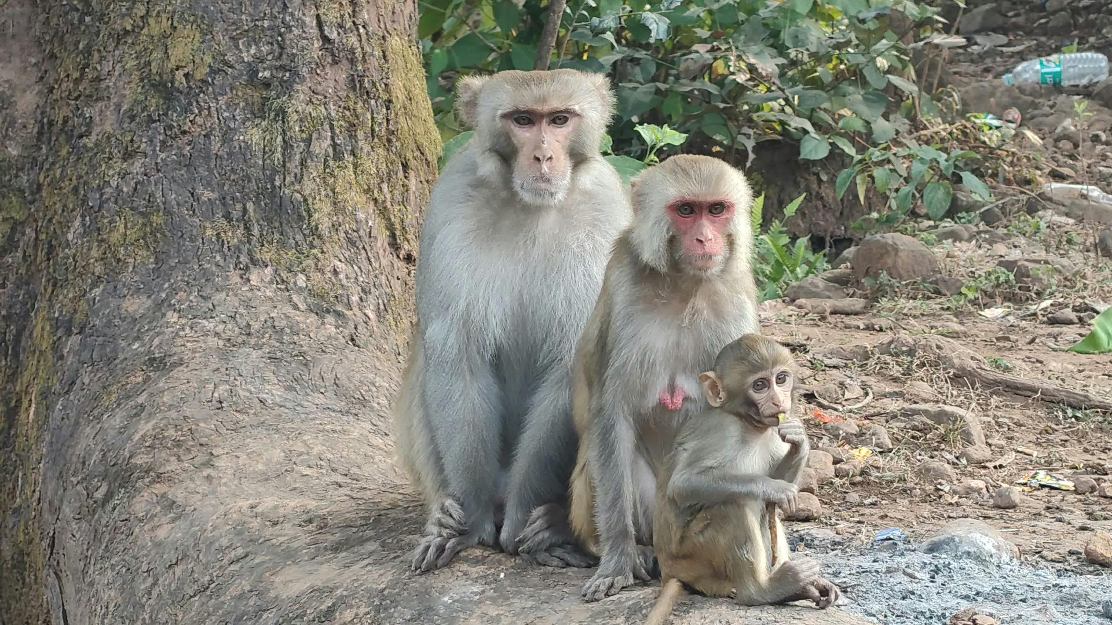 Lesbian+Sit+On+Face Videos, Download The BEST Free 4k Stock Video ...