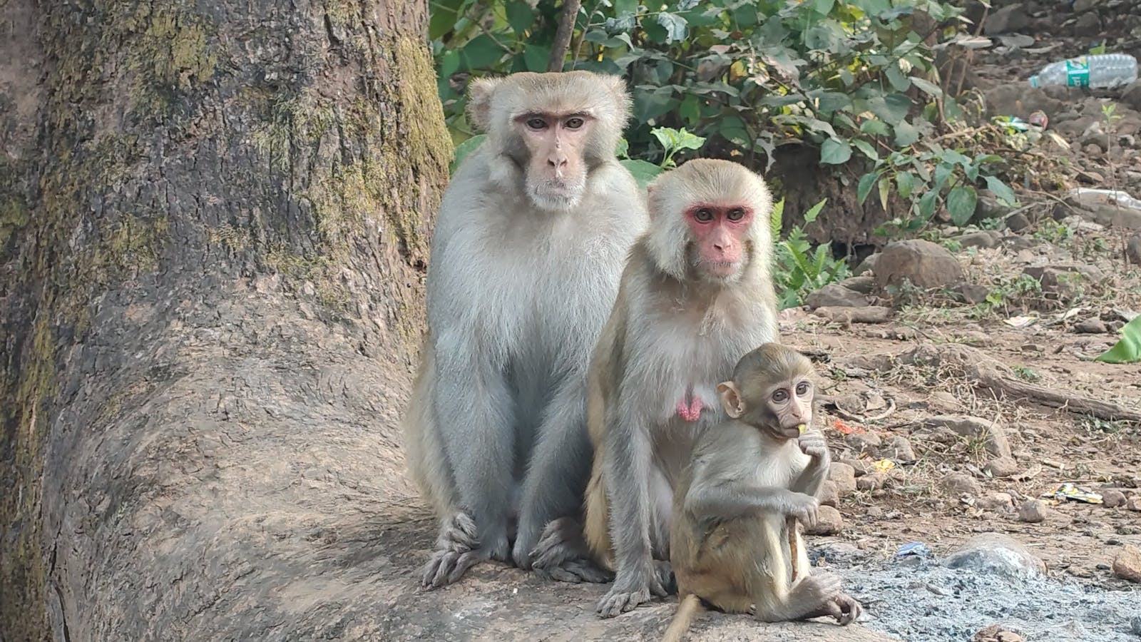 Money Punch Videos, Download The BEST Free 4k Stock Video Footage ...