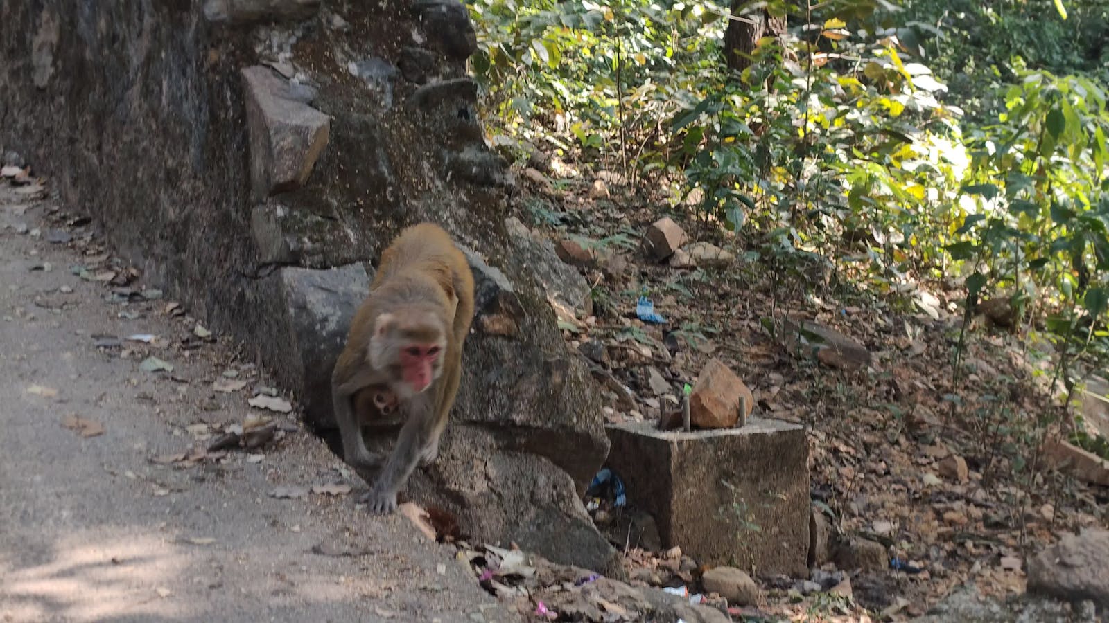 Money Punch Videos, Download The BEST Free 4k Stock Video Footage ...