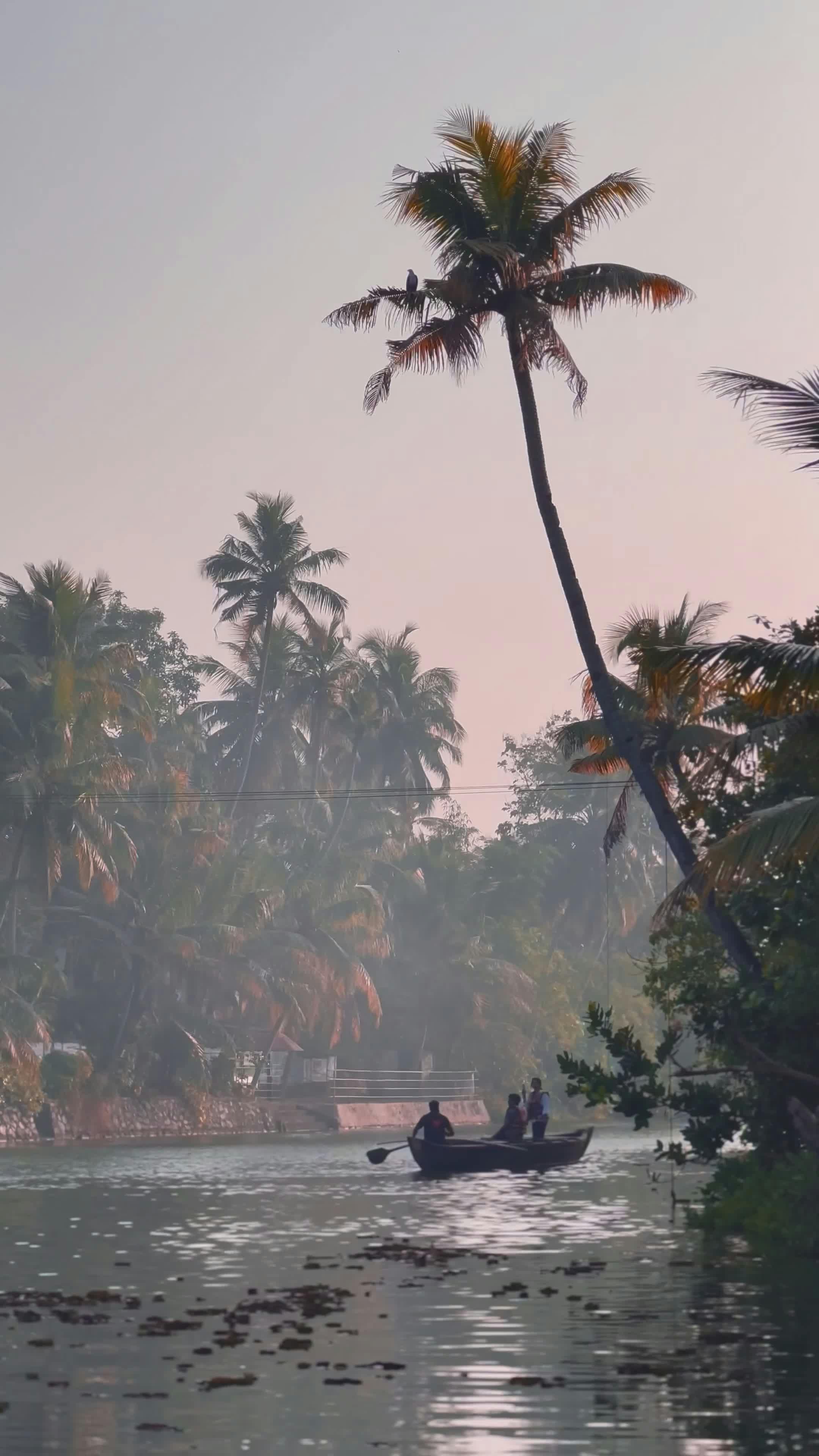 Tranquil Boat Ride Through Kerala's Backwaters Free Stock Video Footage ...