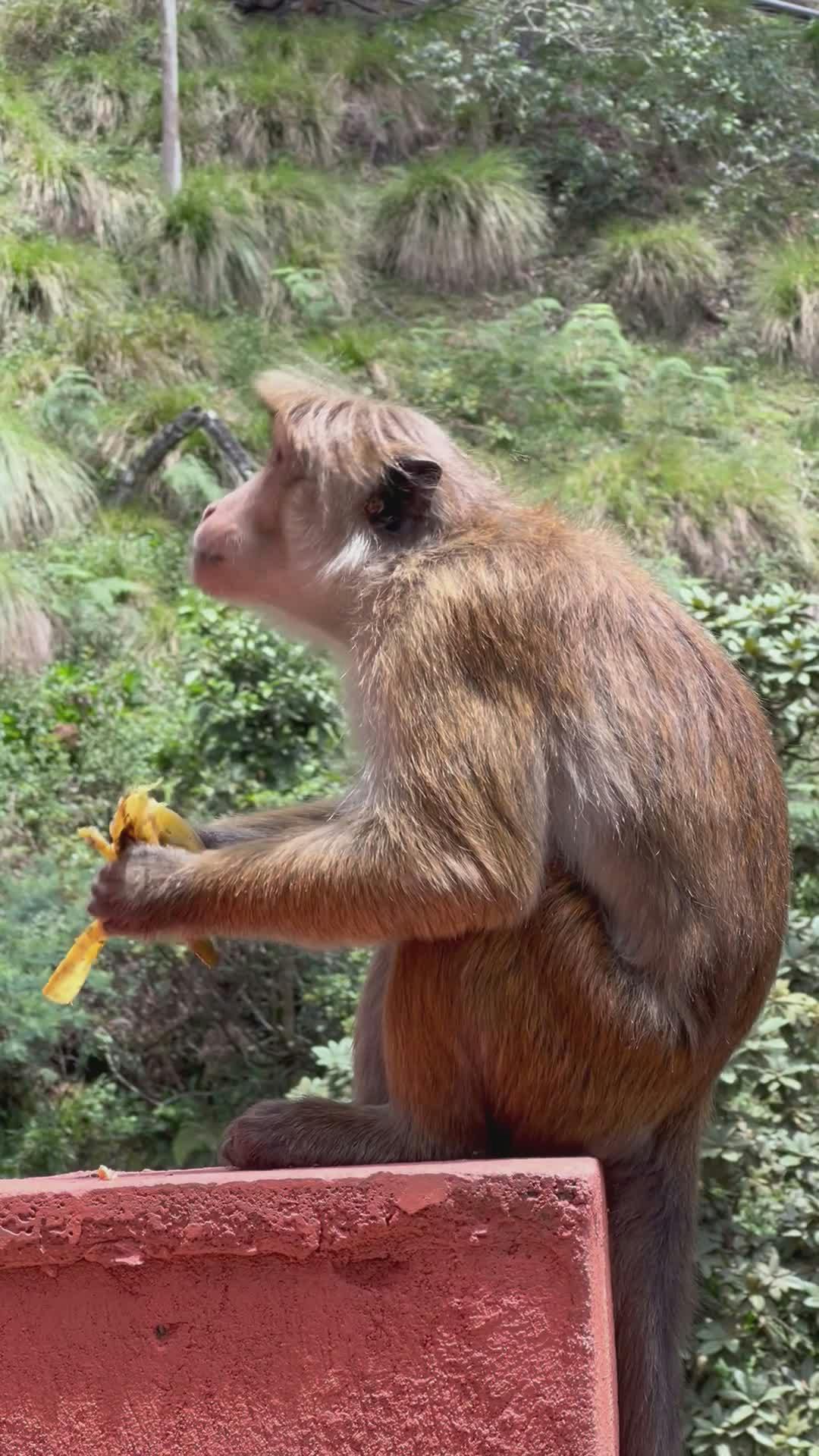 Films+Mannenmassages Videos, Download The BEST Free 4k Stock Video ...