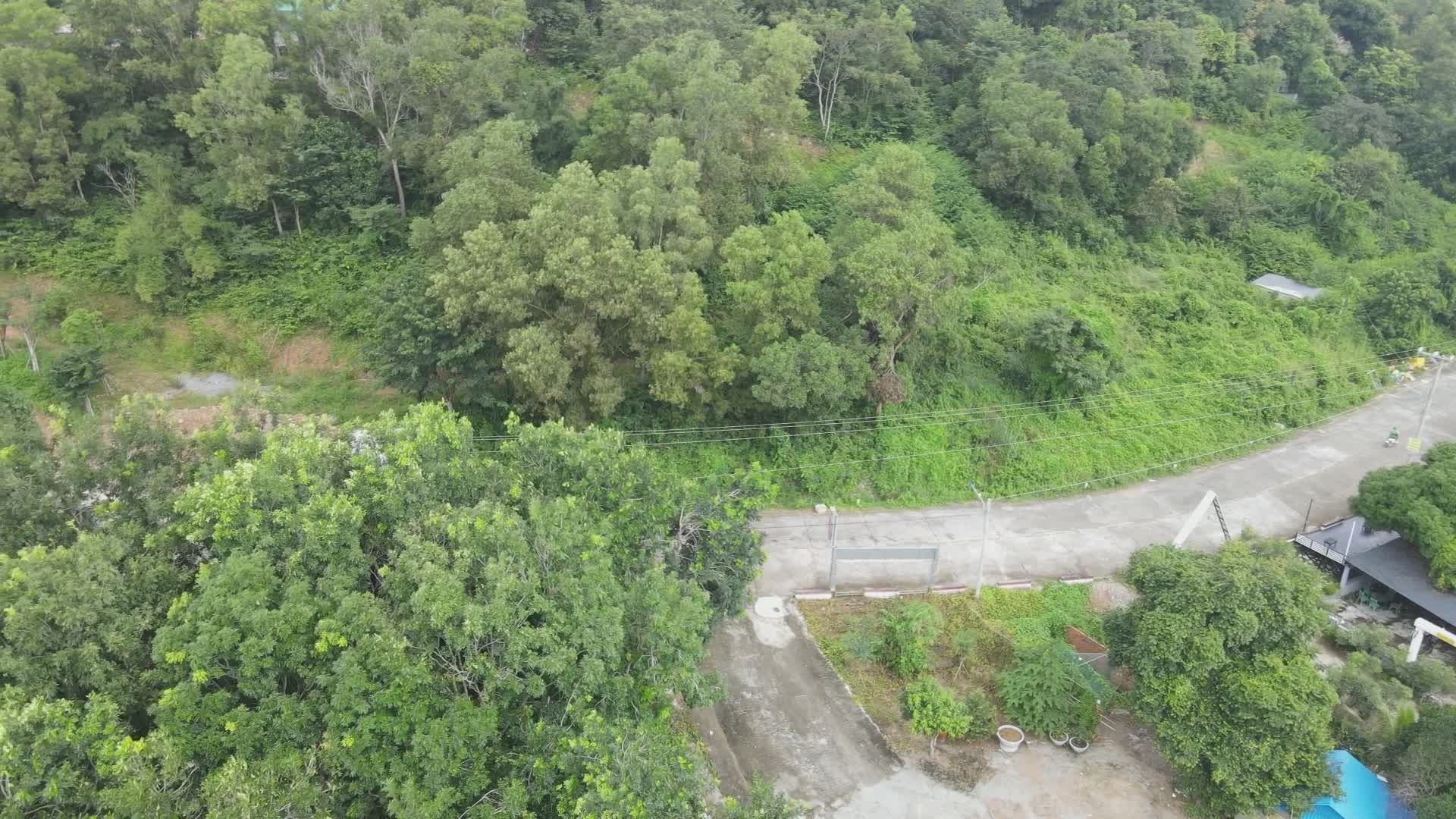 Vista Aérea De Una Exuberante Zona Boscosa Verde · Vídeo de stock gratuito