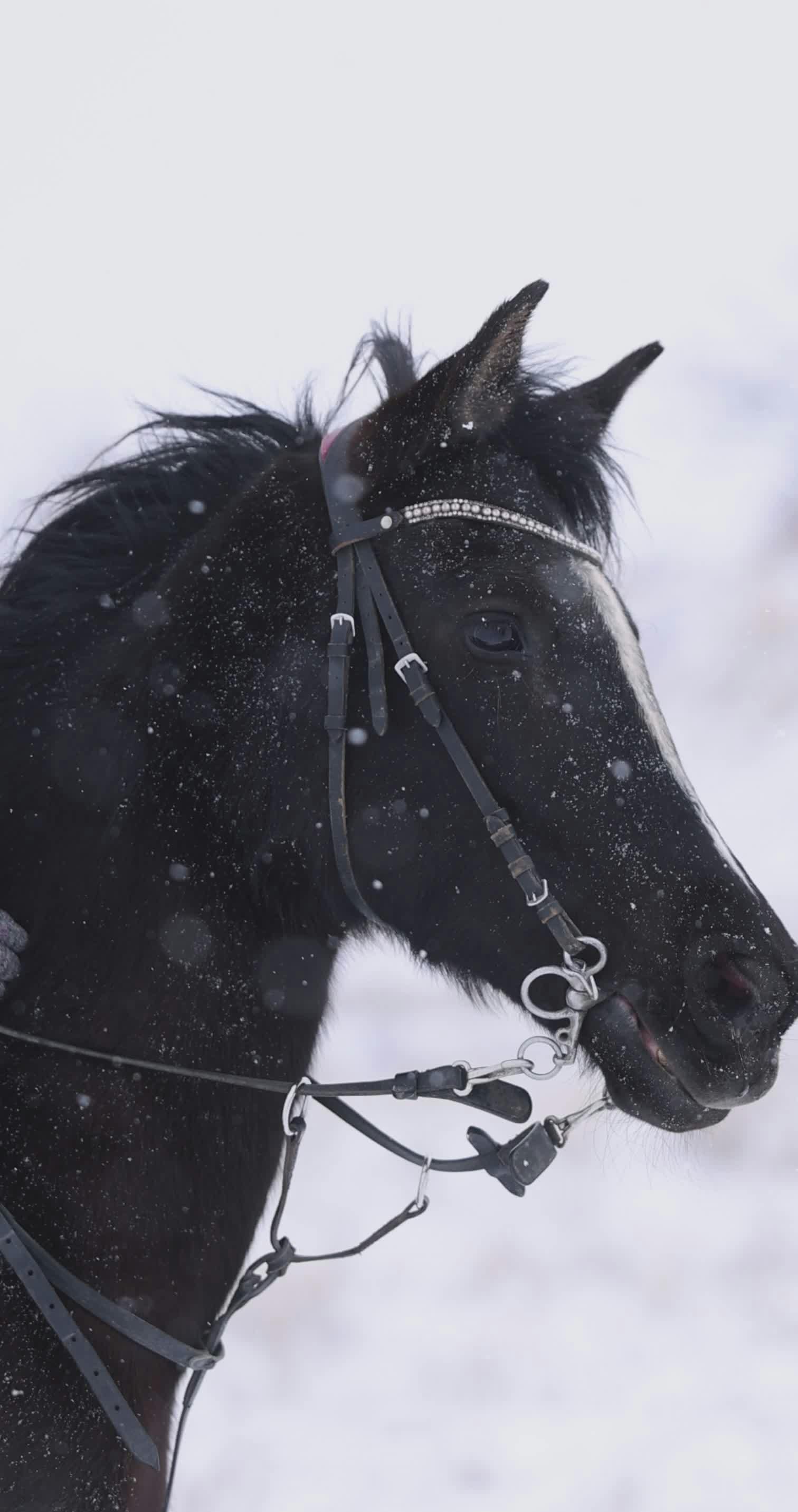 Black+Girl+Hand+Job+Gifs Videos, Download The BEST Free 4k Stock Video ...