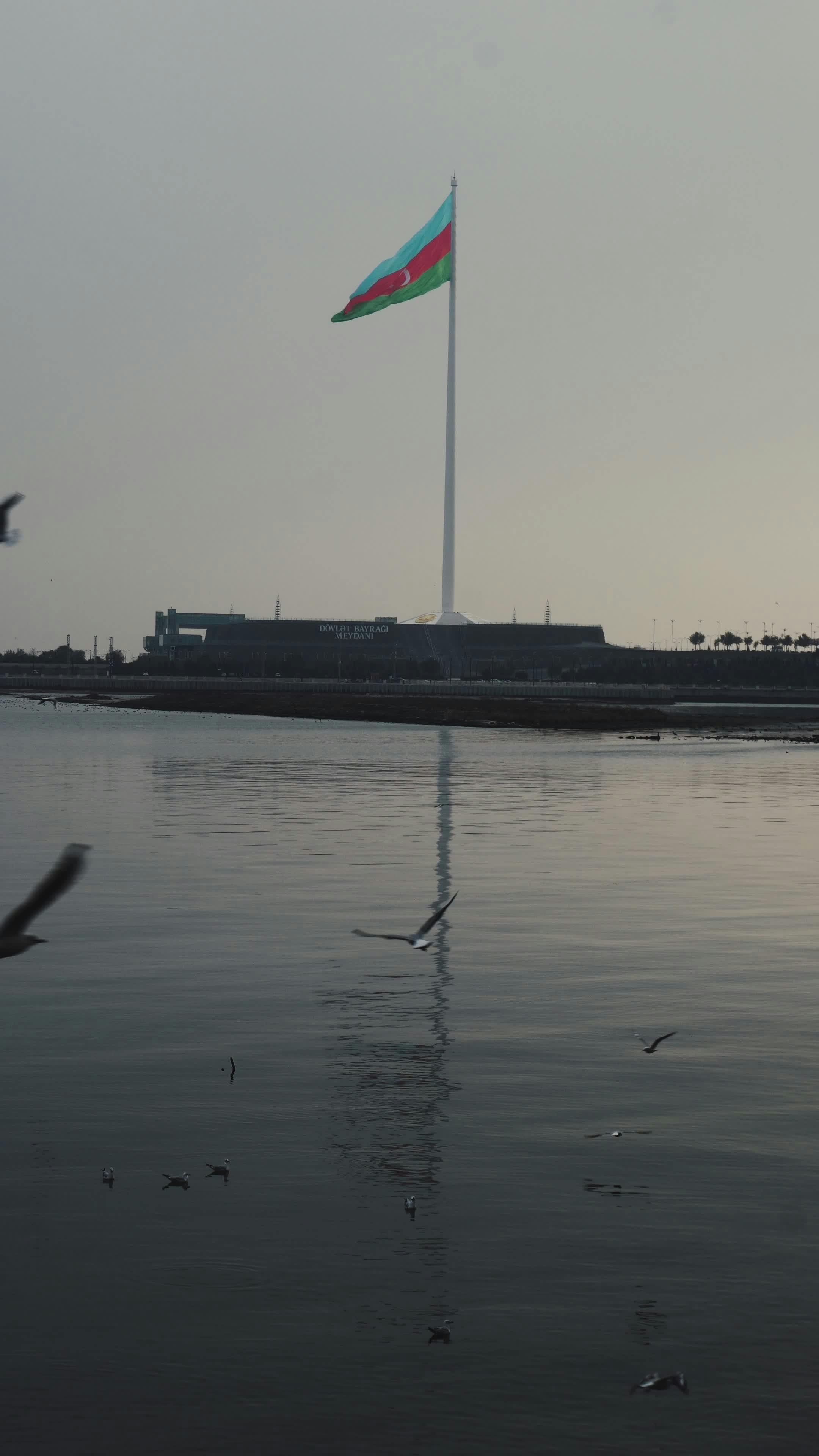 Fream+Images Videos, Download The BEST Free 4k Stock Video Footage ...