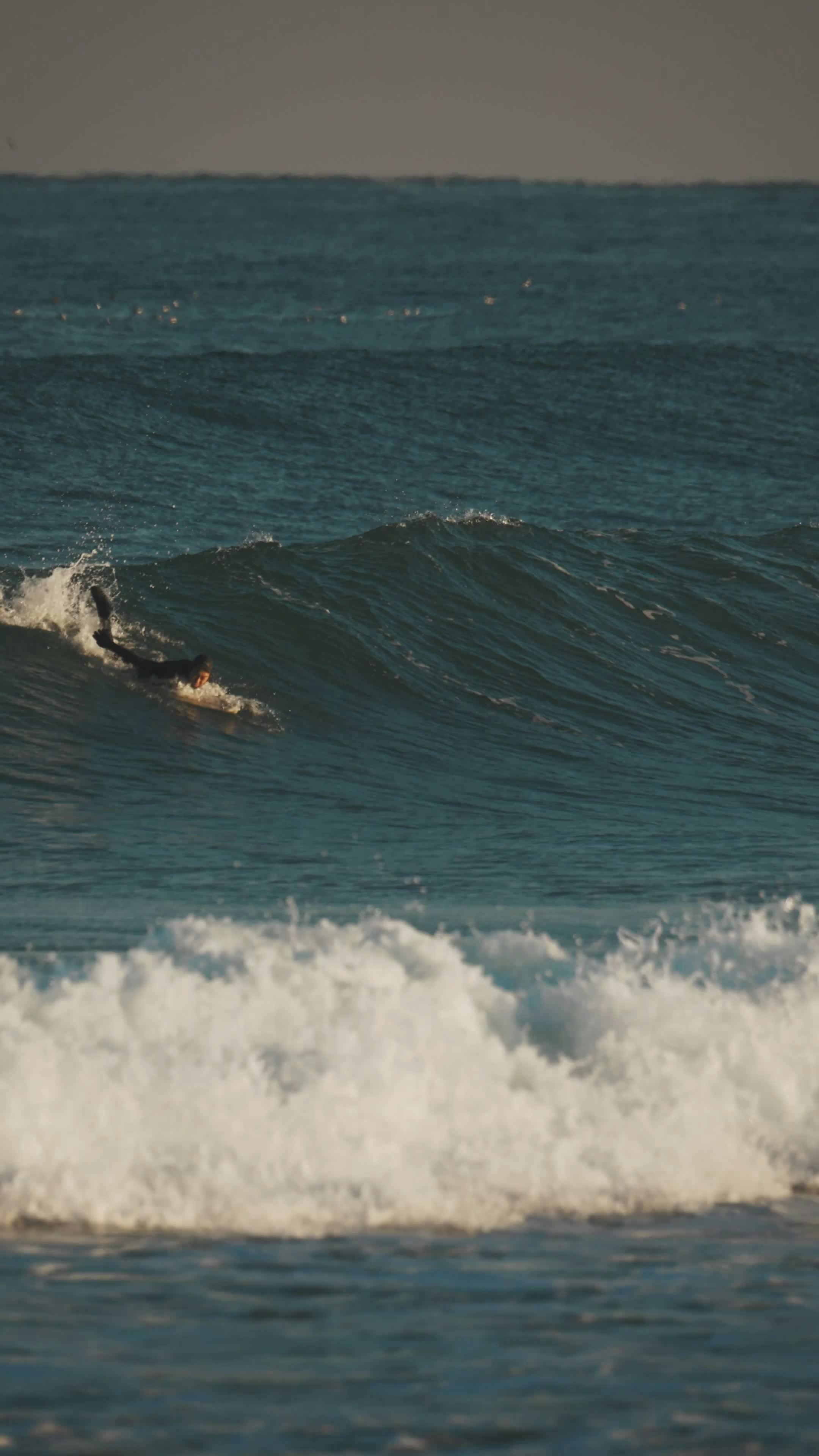 Fast+Reverse+Cowgirl+Compilation Videos, Download The BEST Free 4k ...