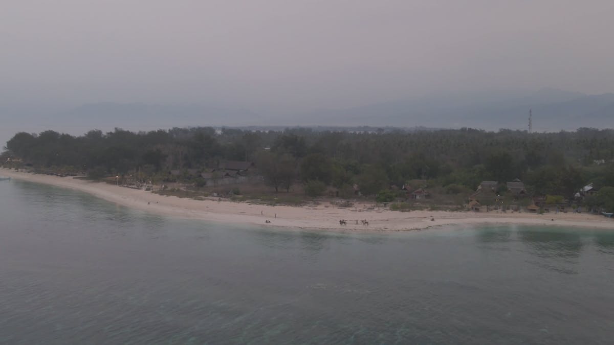 Ss+Nita+Summer+Dress+Mp4 Videos, Download The BEST Free 4k Stock Video ...