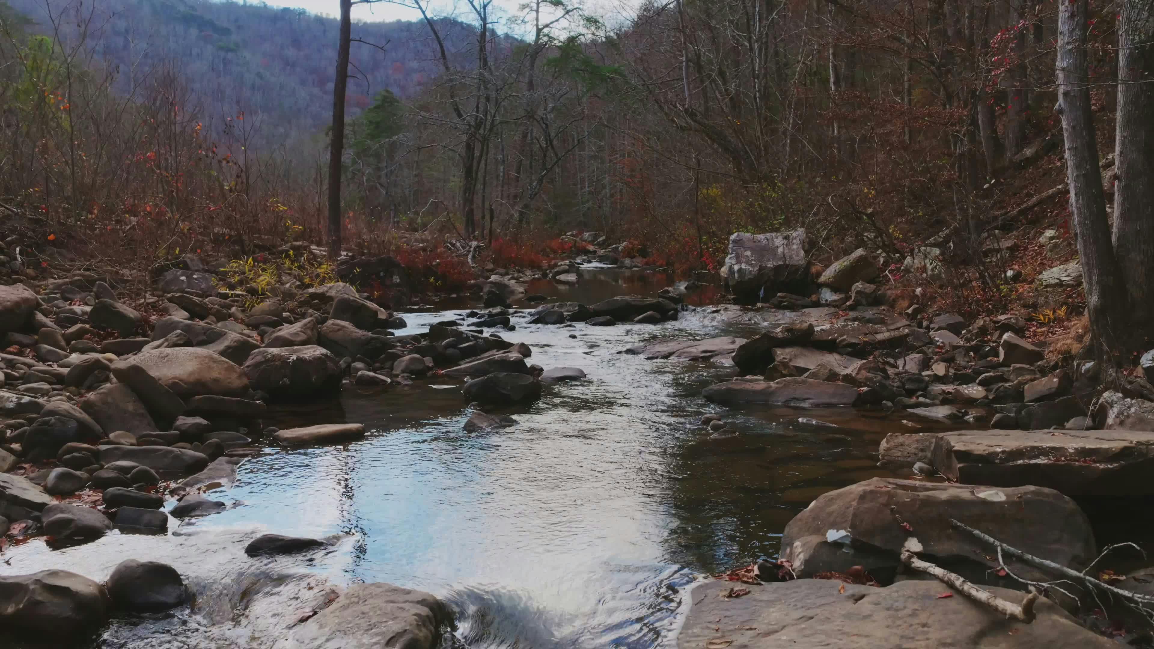 Tranquil Autumn Creek in Tennessee Mountains Free Stock Video Footage ...