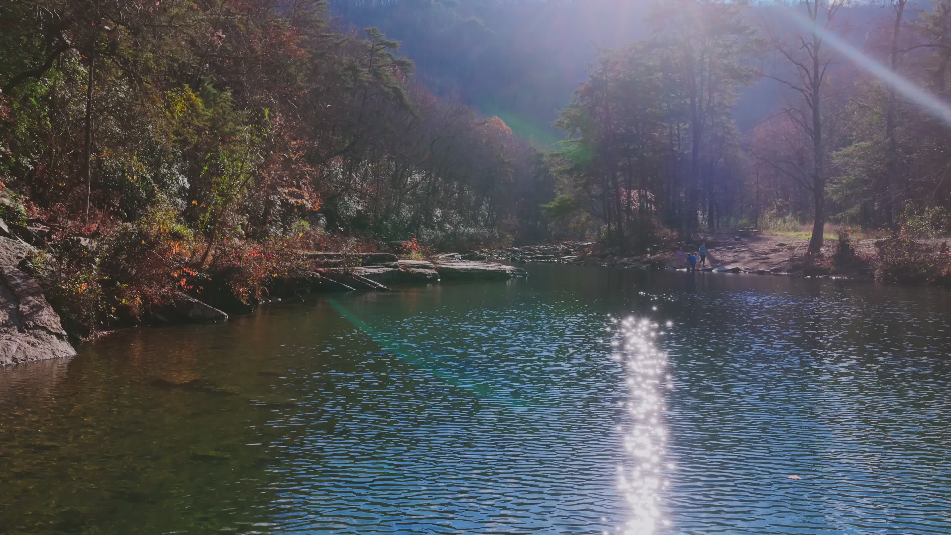 Tranquil Autumn Creek in Tennessee's Nature Free Stock Video Footage ...