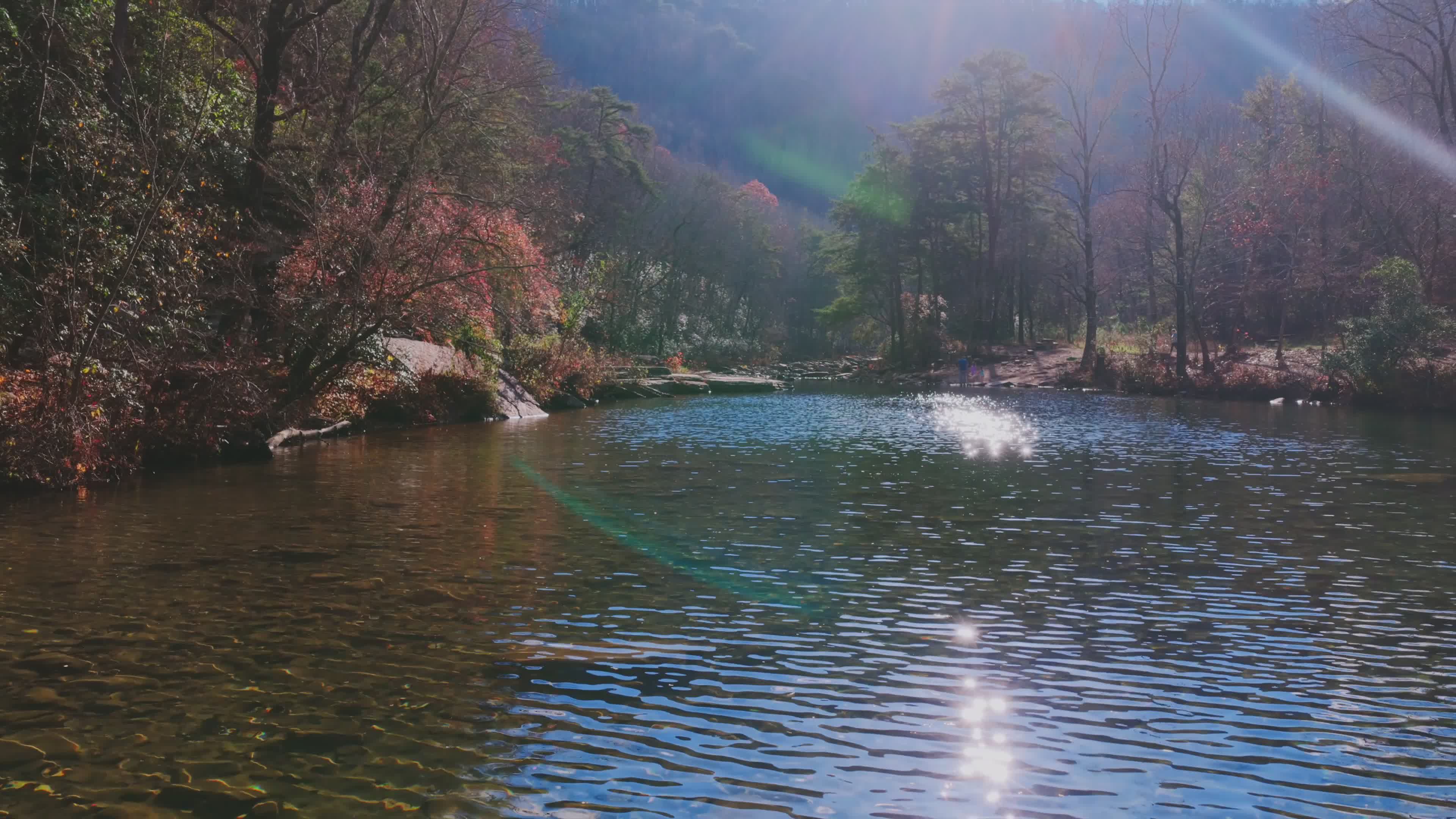Peaceful Autumn Creek in Tennessee Free Stock Video Footage, Royalty ...