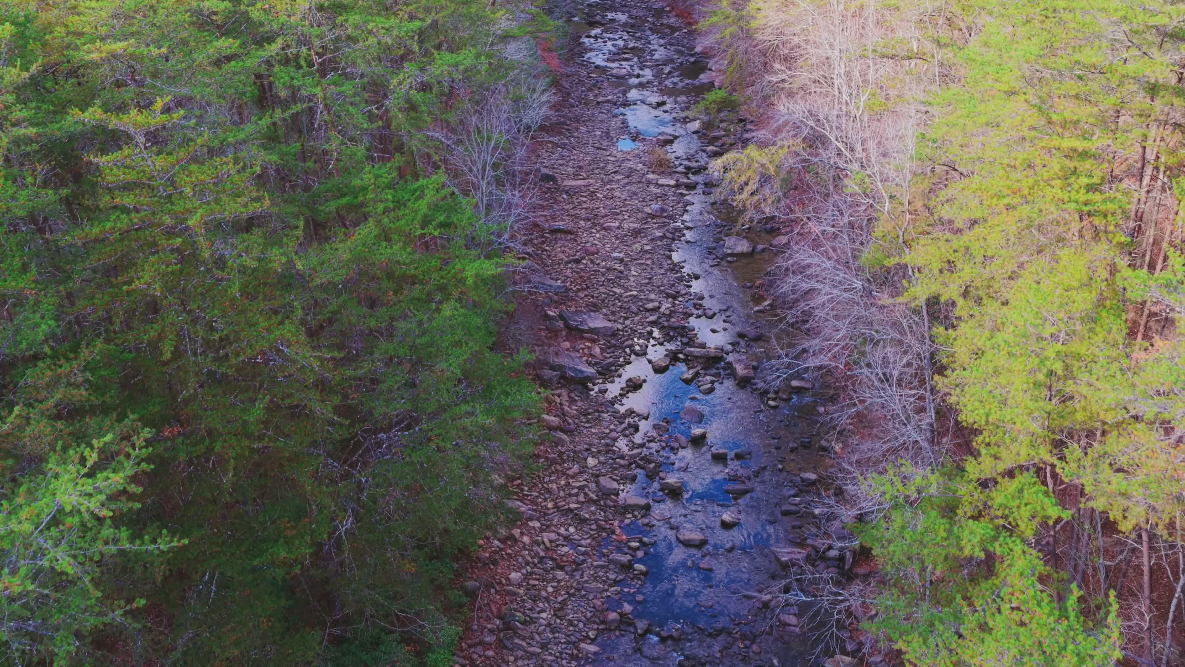 Aerial View of Scenic Creek in Autumn Forest Free Stock Video Footage ...