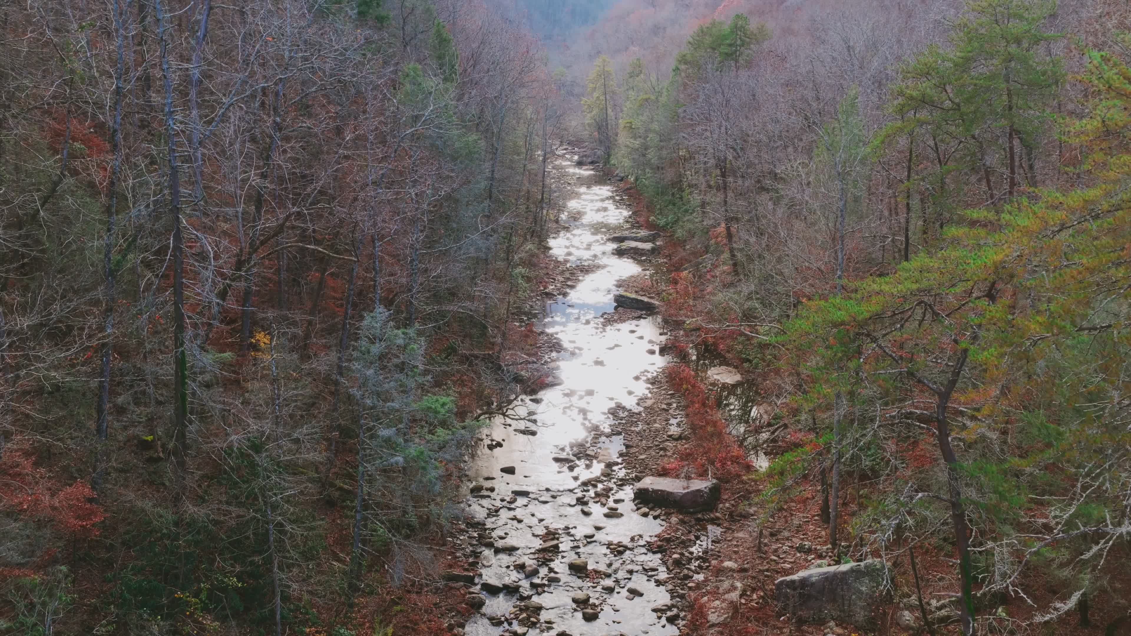 Scenic Autumn Creek in Tennessee Forest Free Stock Video Footage ...