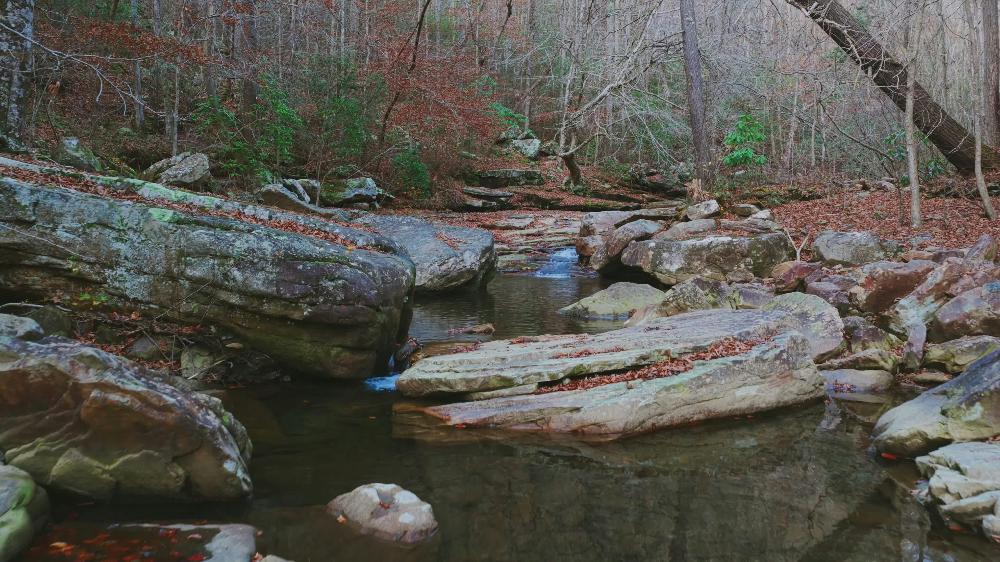 Serene Autumn Creek in Big Soddy, Tennessee Free Stock Video Footage ...